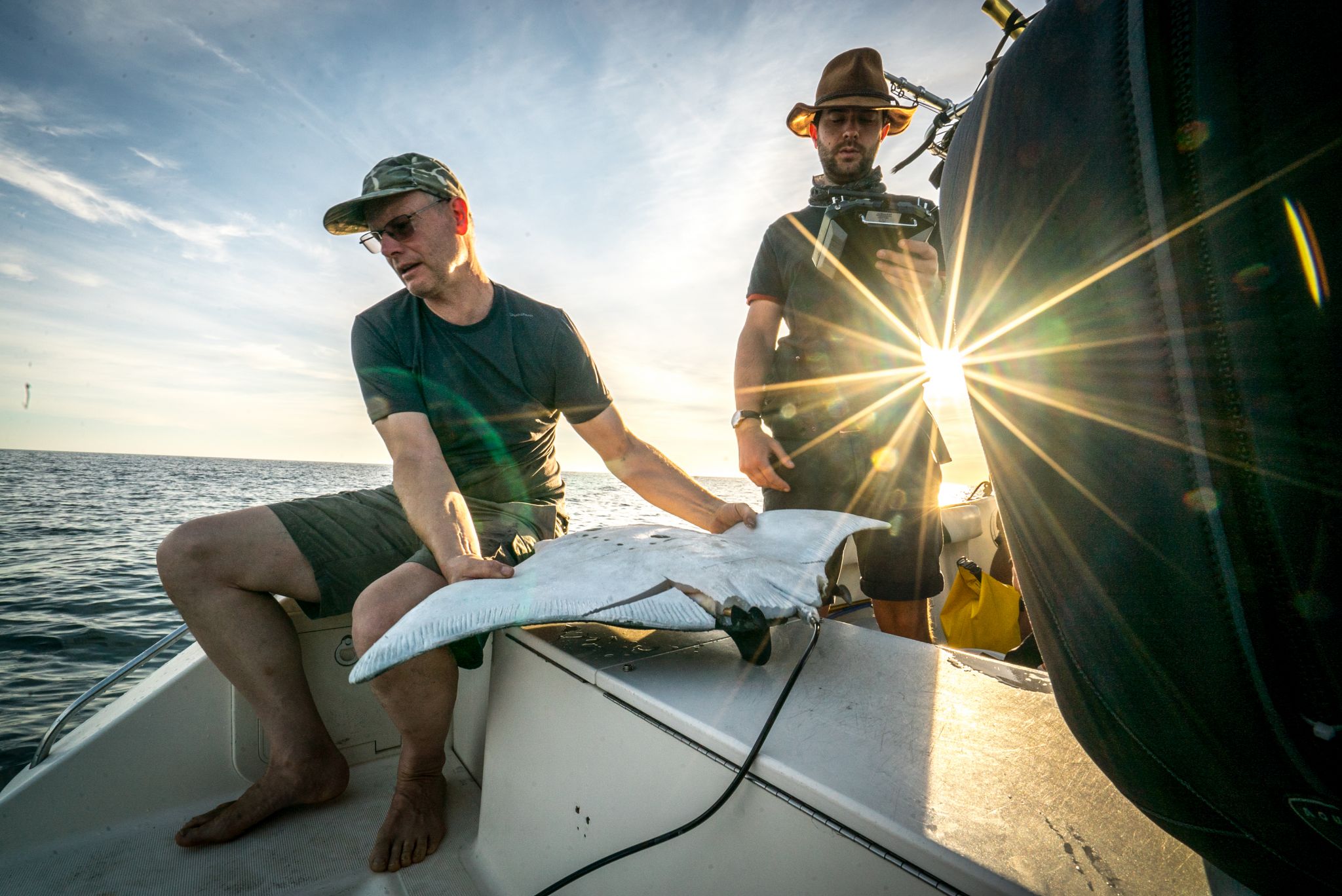 Spying for Science: How "Spy in the Wild" is Influencing The Way ...