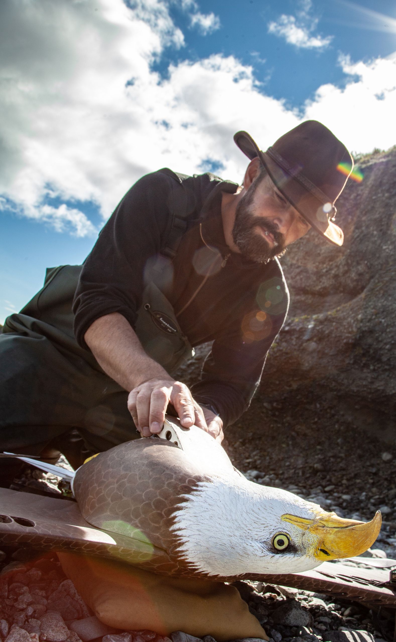 Spying for Science: How "Spy in the Wild" is Influencing The Way ...