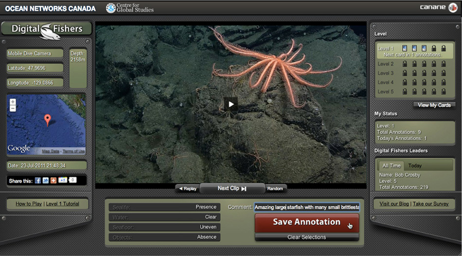 Digital Fishers | Nature Nation | Blog | Nature | PBS