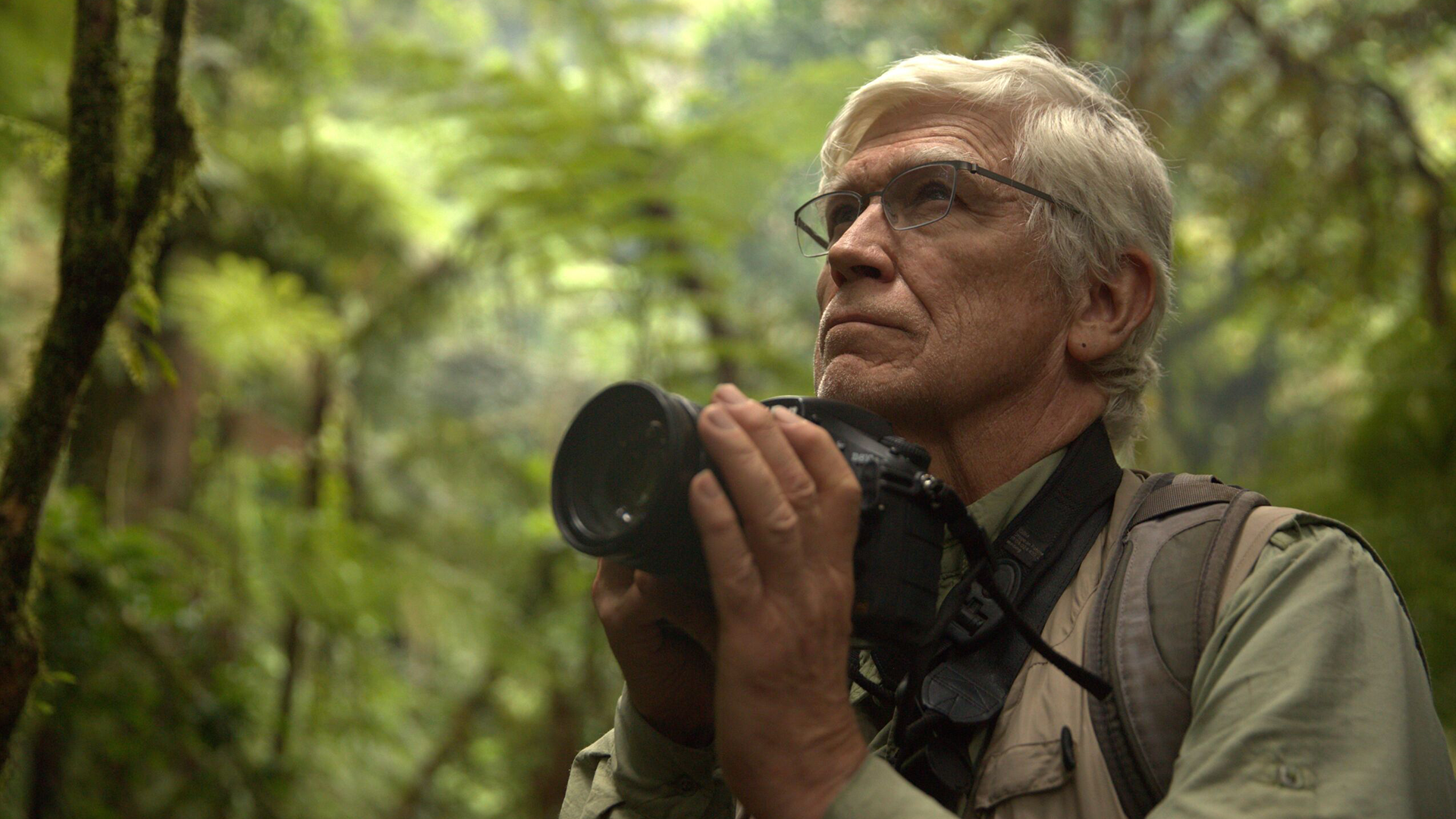 AMA with Dr. Russ Mittermeier from "Primates" | Blog | Nature | PBS