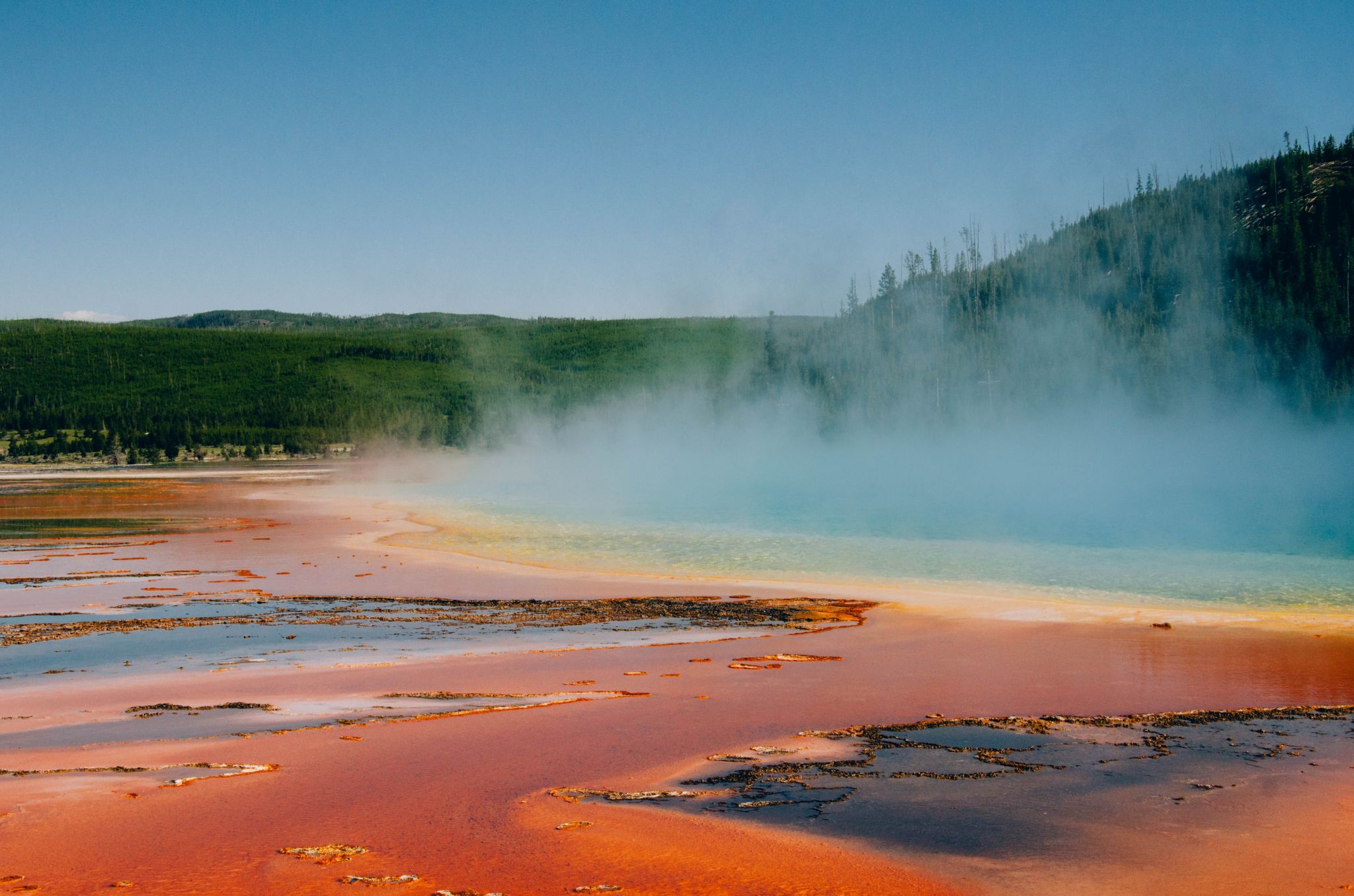 Yellowstone Forever | Nature Nation | Blog | Nature | PBS