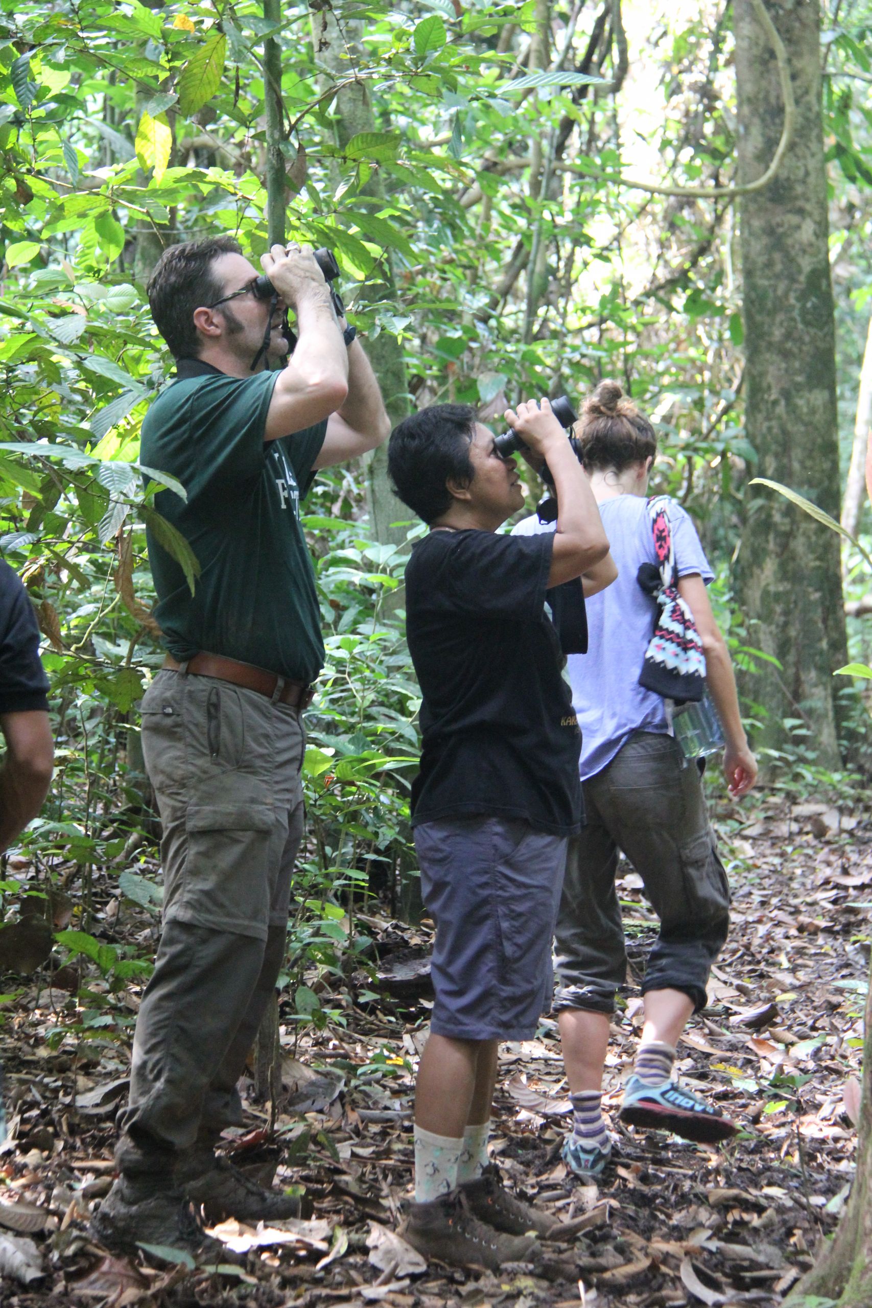 One Woman’s Journey To Become A Forest Conservationist | Blog | Nature ...