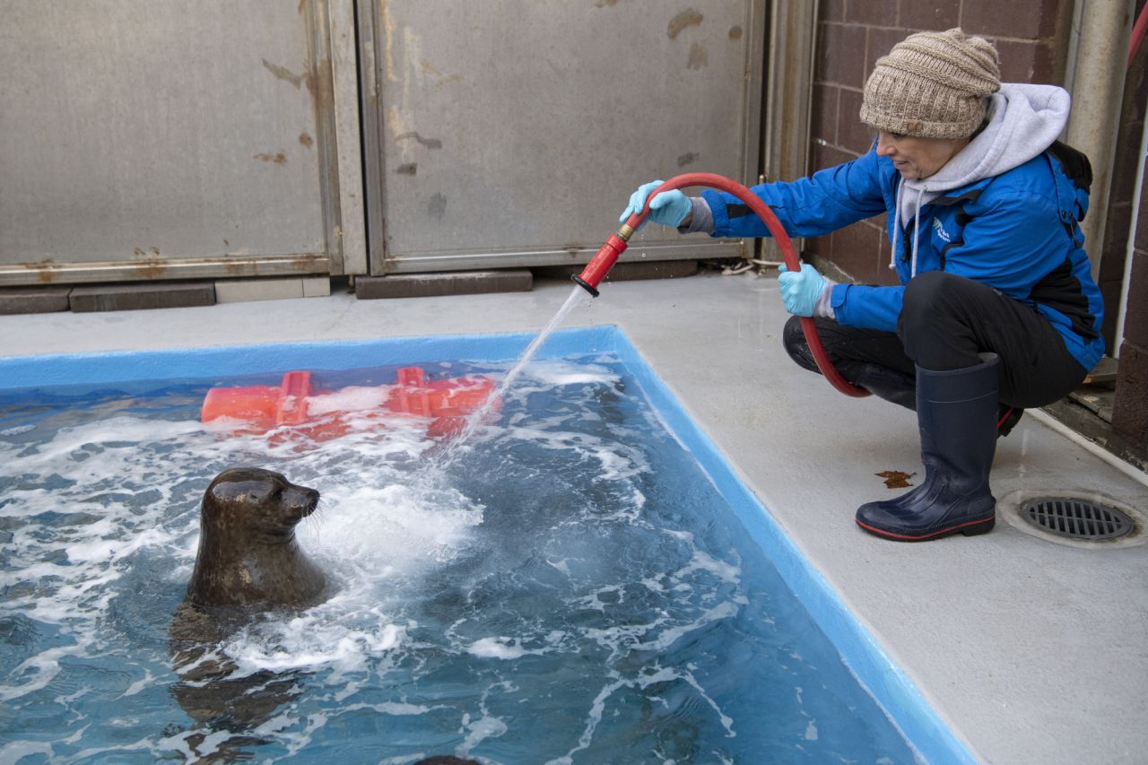 A Passionate Calling to Protect Marine Species | Blog | Nature | PBS
