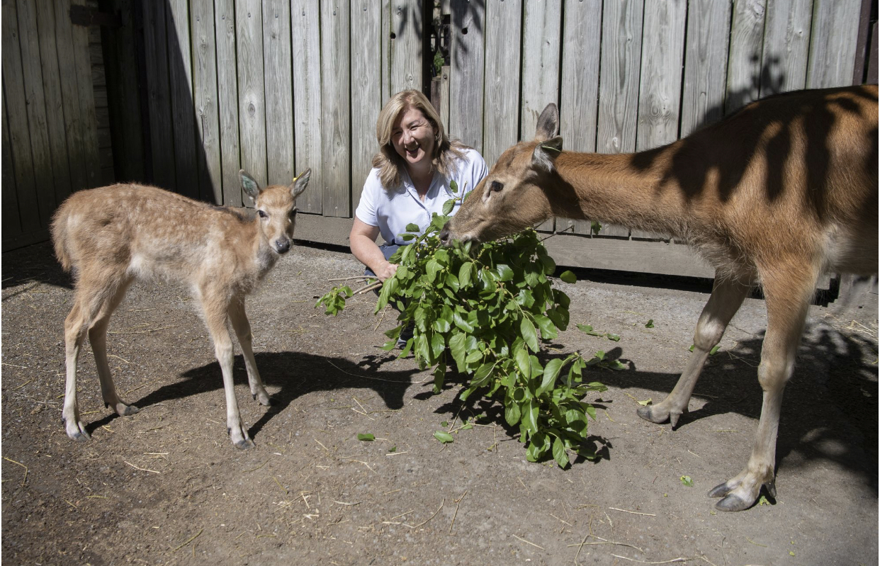 A Wild Animal Curator Comes Home | Blog | Nature | PBS