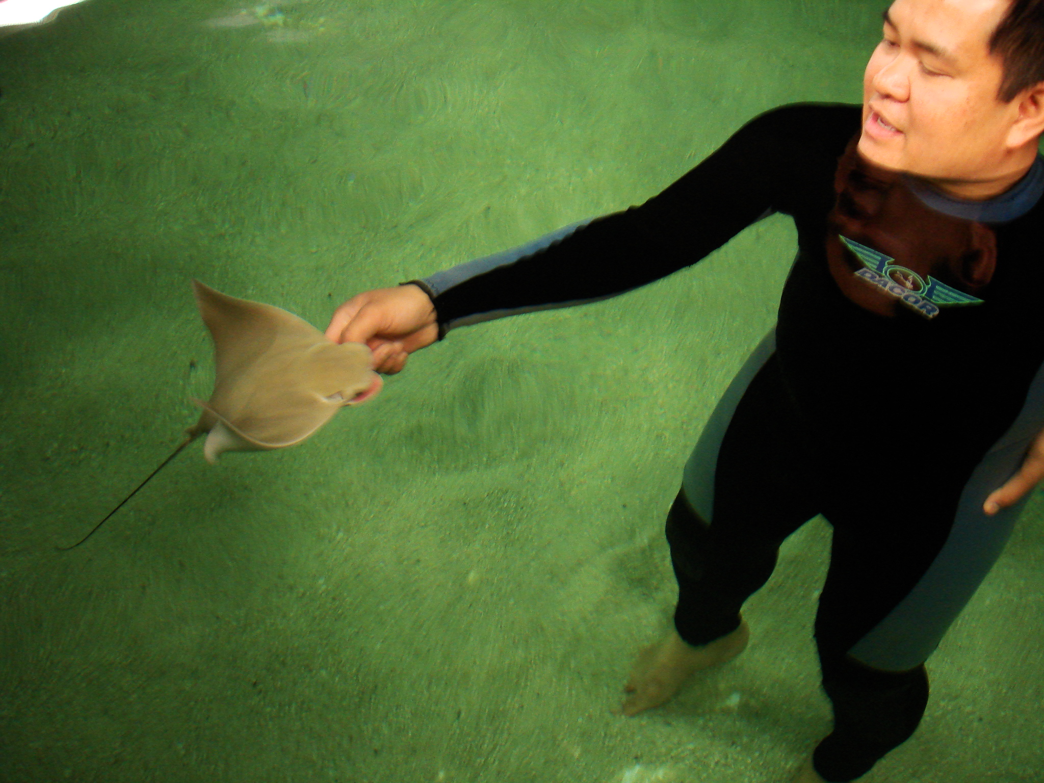 Conserving Our Pristine Waters Is a Global Effort | Blog | Nature | PBS