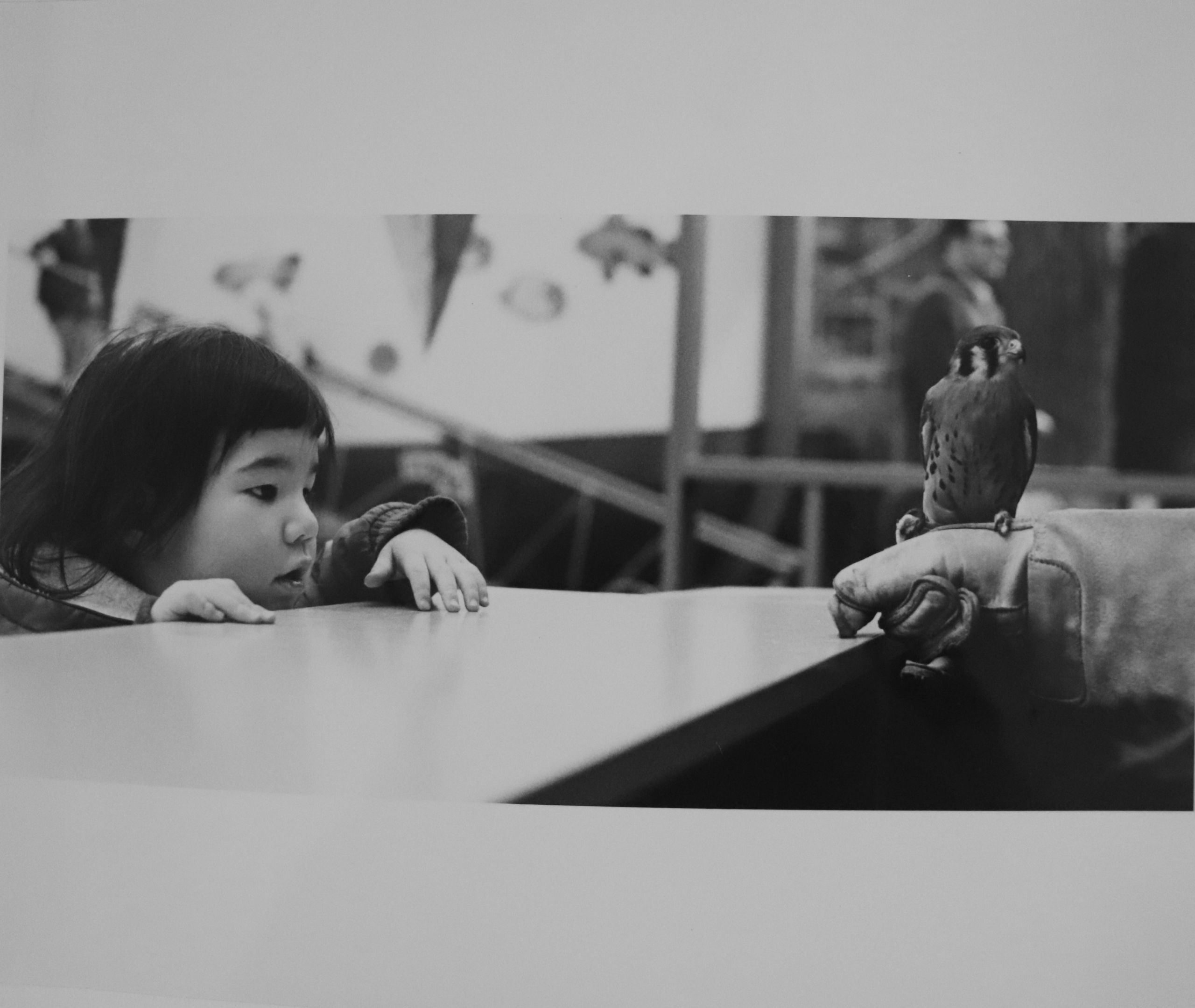 A Wild Animal Curator Comes Home | Blog | Nature | PBS