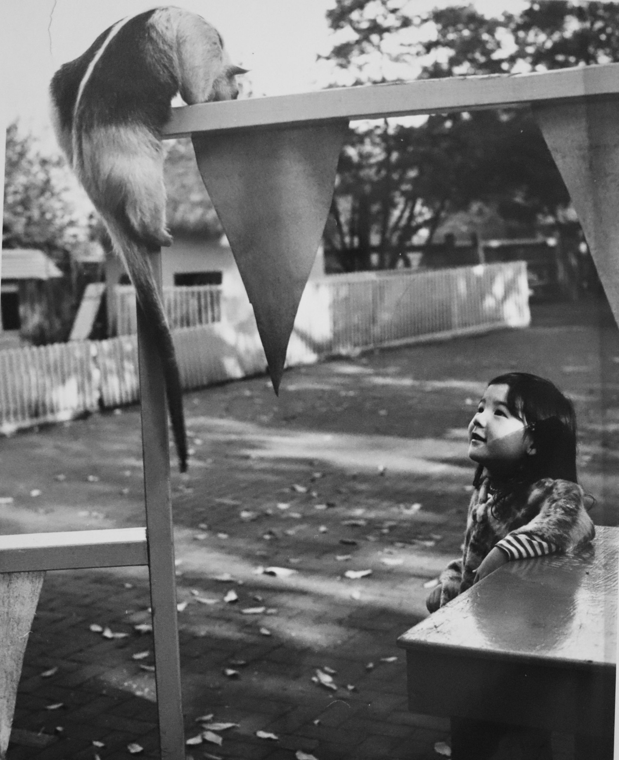 A Wild Animal Curator Comes Home | Blog | Nature | PBS