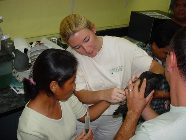 A Wild Animal Curator Comes Home | Blog | Nature | PBS