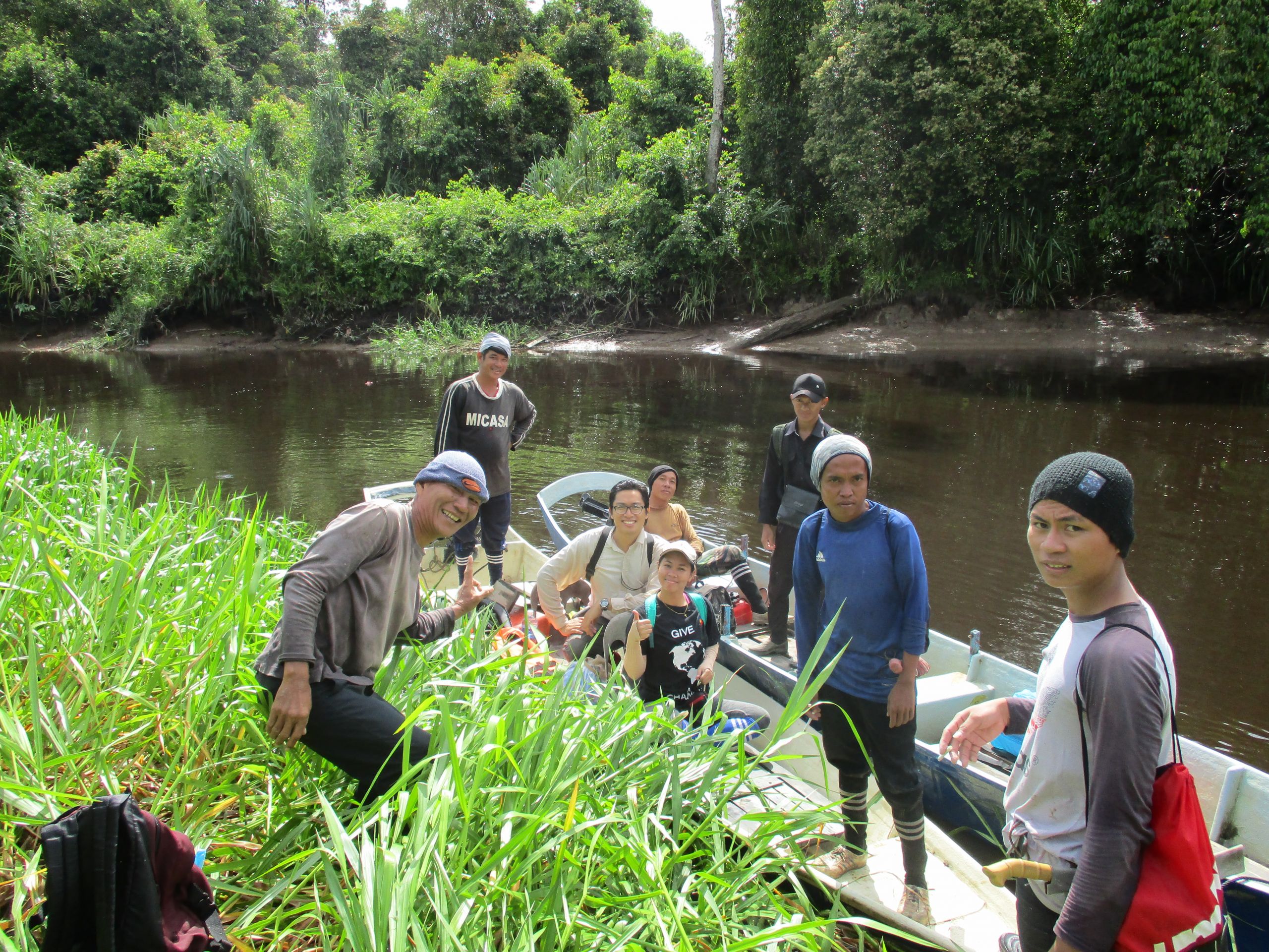 Conserving Borneo’s Critically Endangered Orangutans | Blog | Nature | PBS