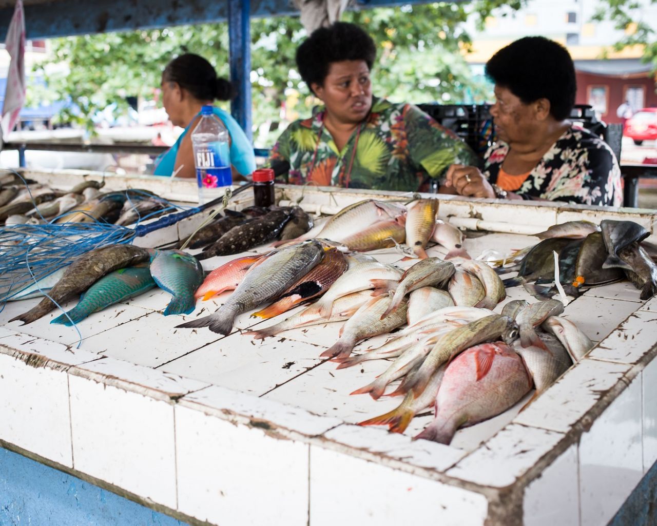 Why Fiji's 'Green' Recovery From Covid-19 Must Prioritize the Ocean ...