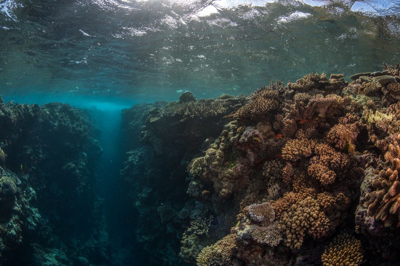 Why Fiji's 'Green' Recovery From Covid-19 Must Prioritize the Ocean ...