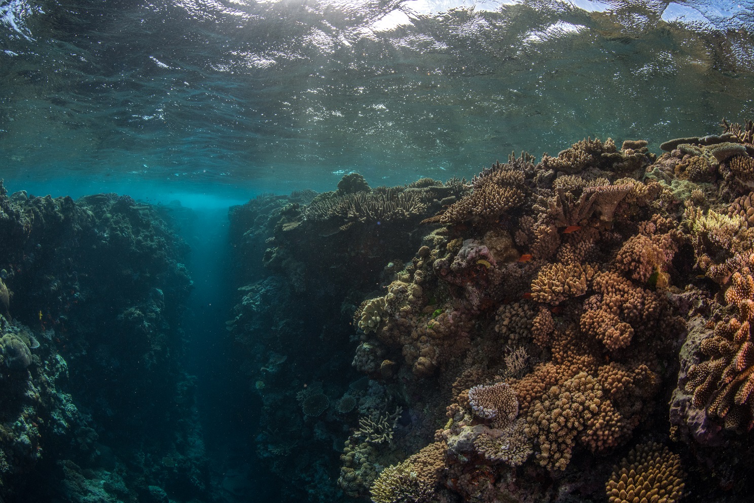 Why Fiji's 'Green' Recovery From Covid-19 Must Prioritize the Ocean ...