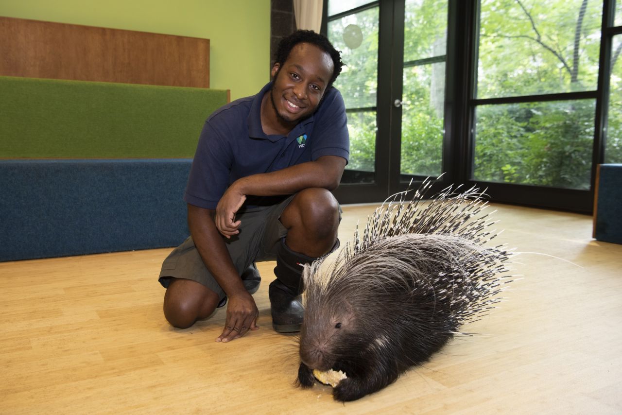 A Wild Animal Keeper Embraces a Life of Animal Encounters | Blog ...