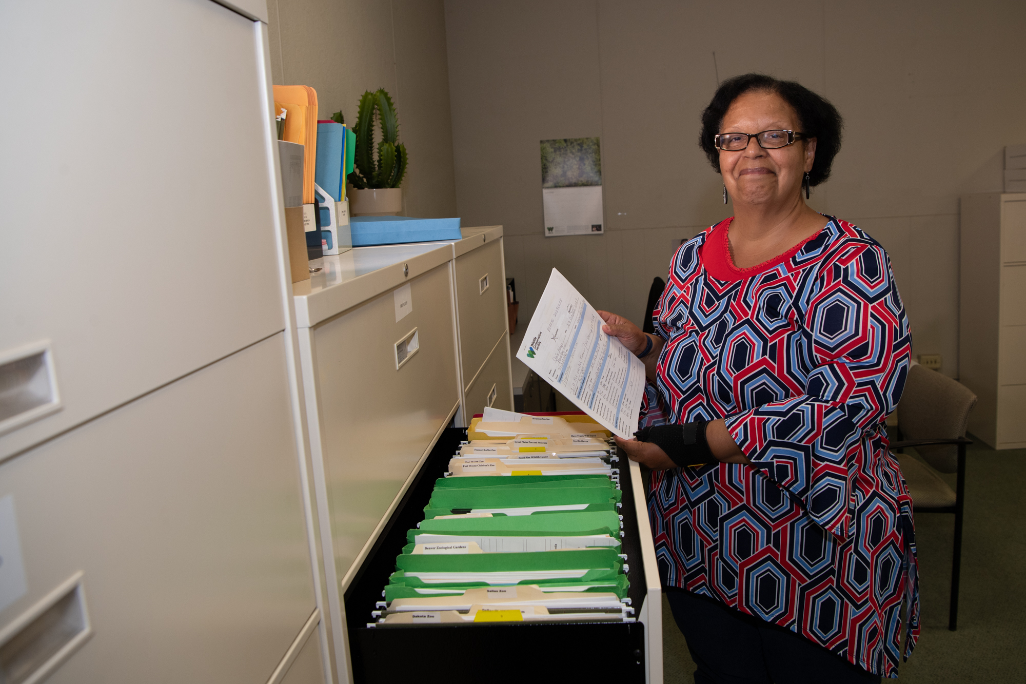 Travel Agent for Zoo Animals // Agente de Viaje para Animales de ...