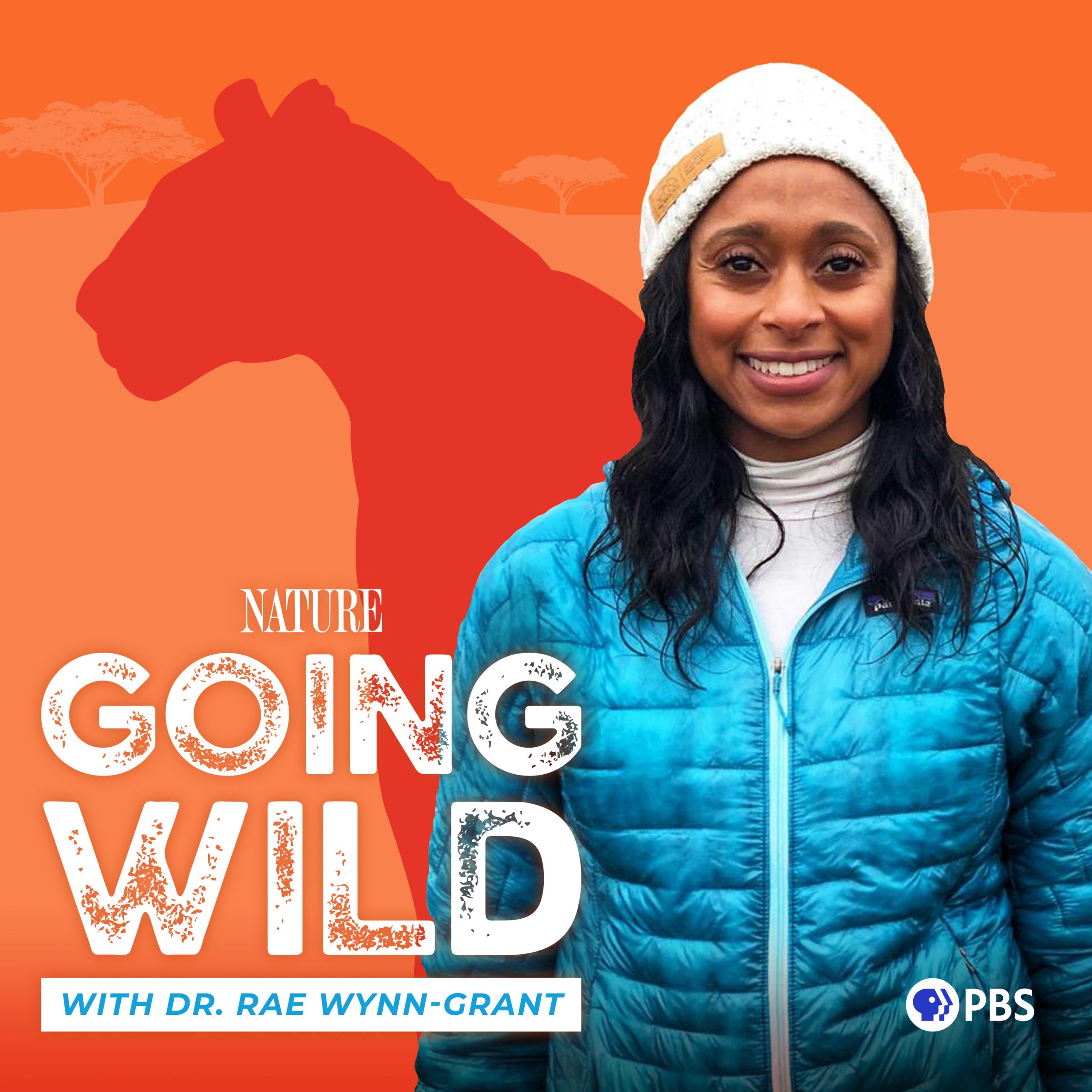 Not Your Average Field Trip | Going Wild with Dr. Rae Wynn-Grant ...