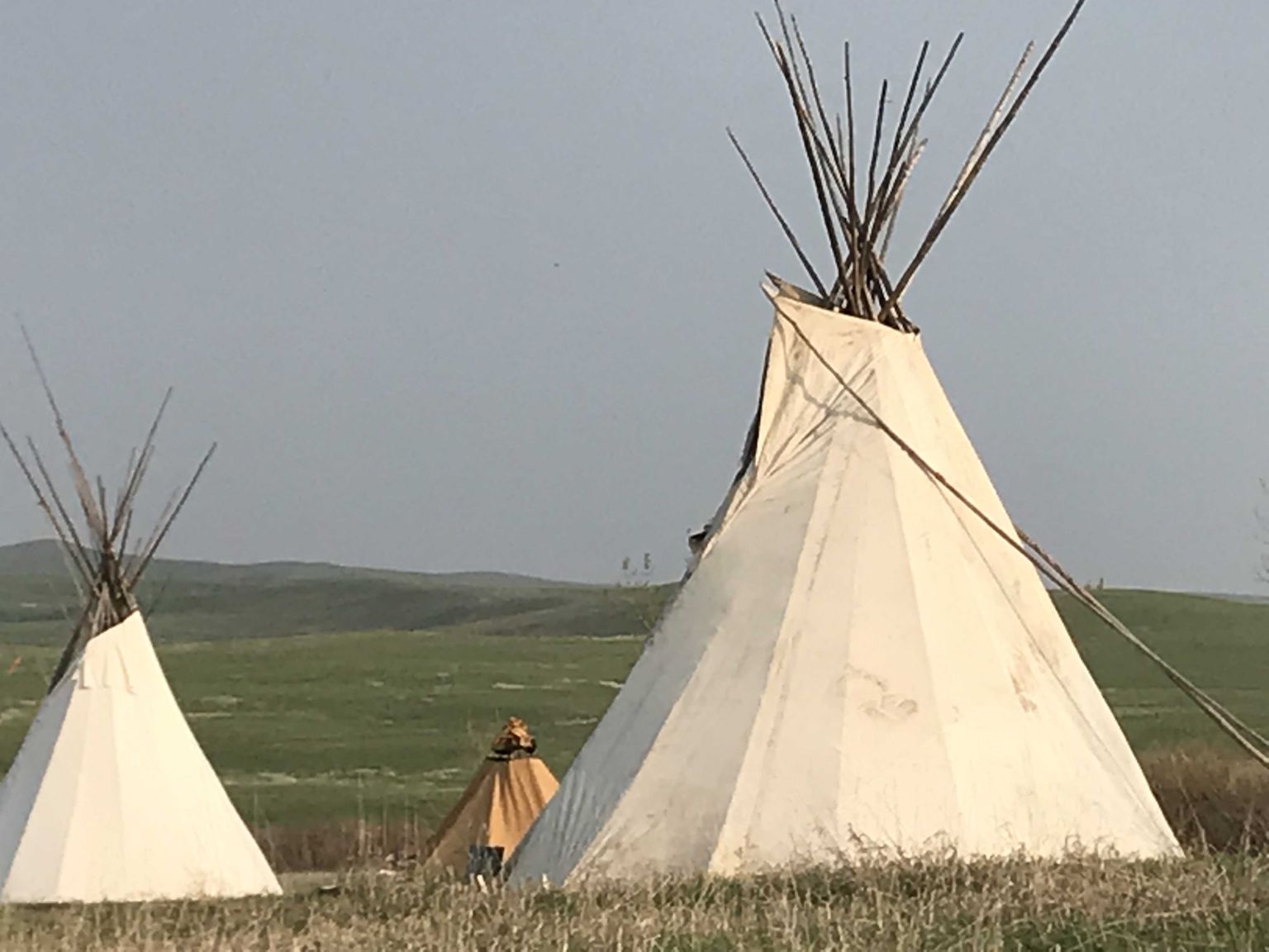Indigenous-Led Conservation Can Help Modern Conservation Catch Up ...