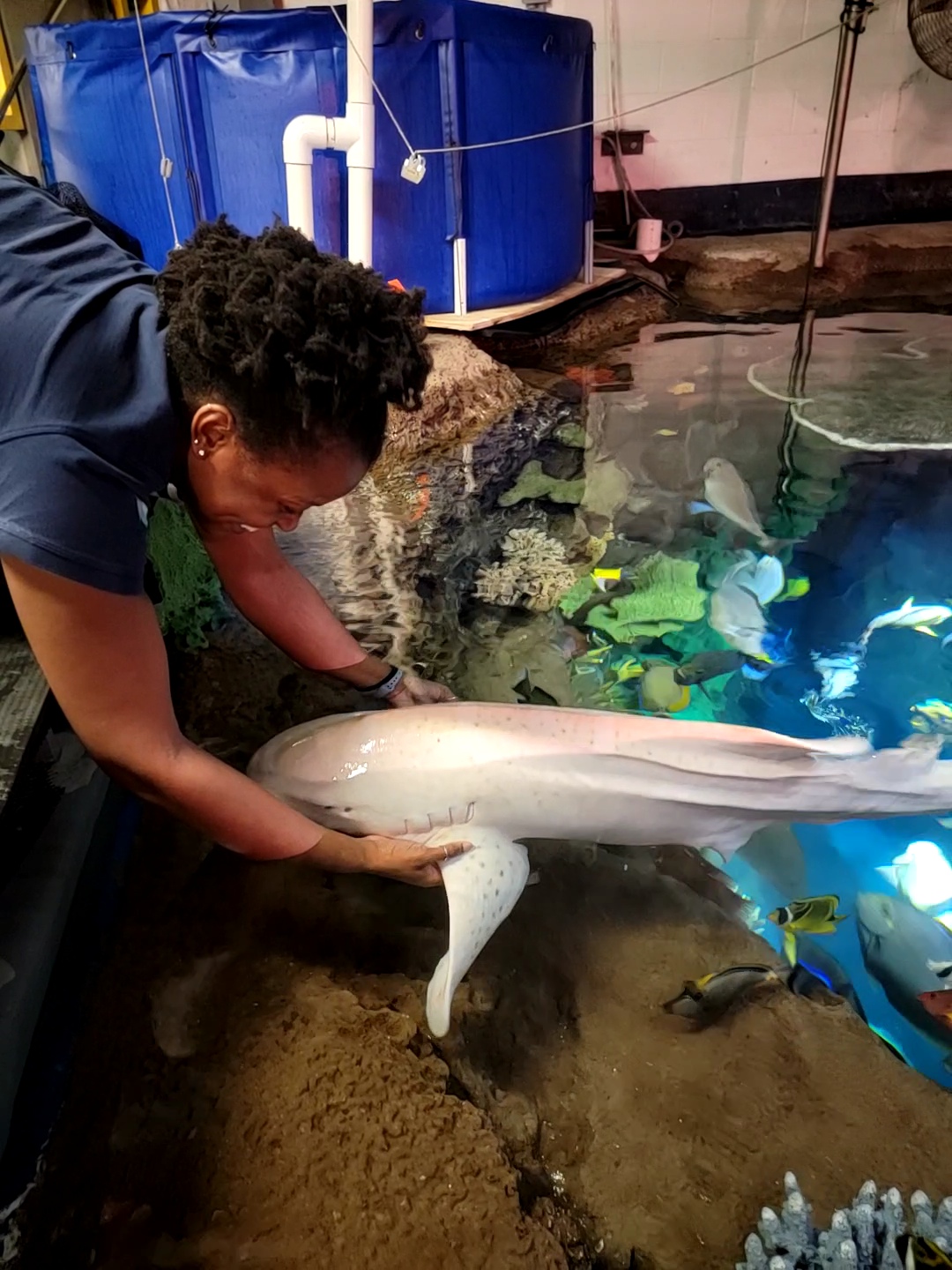 Black in Marine Science | Blog | Nature | PBS