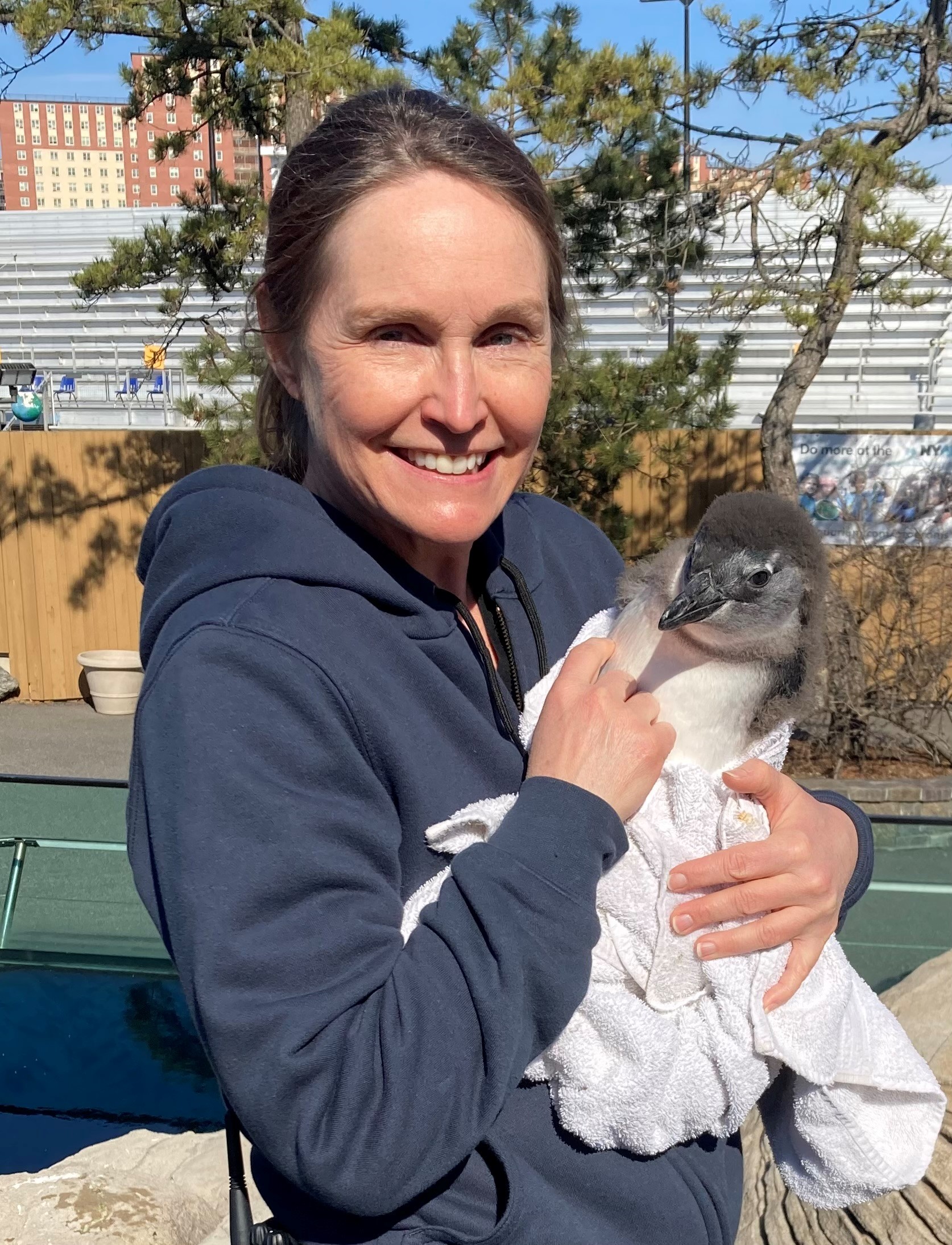 A Career Committed to Caring for Wildlife | Blog | Nature | PBS