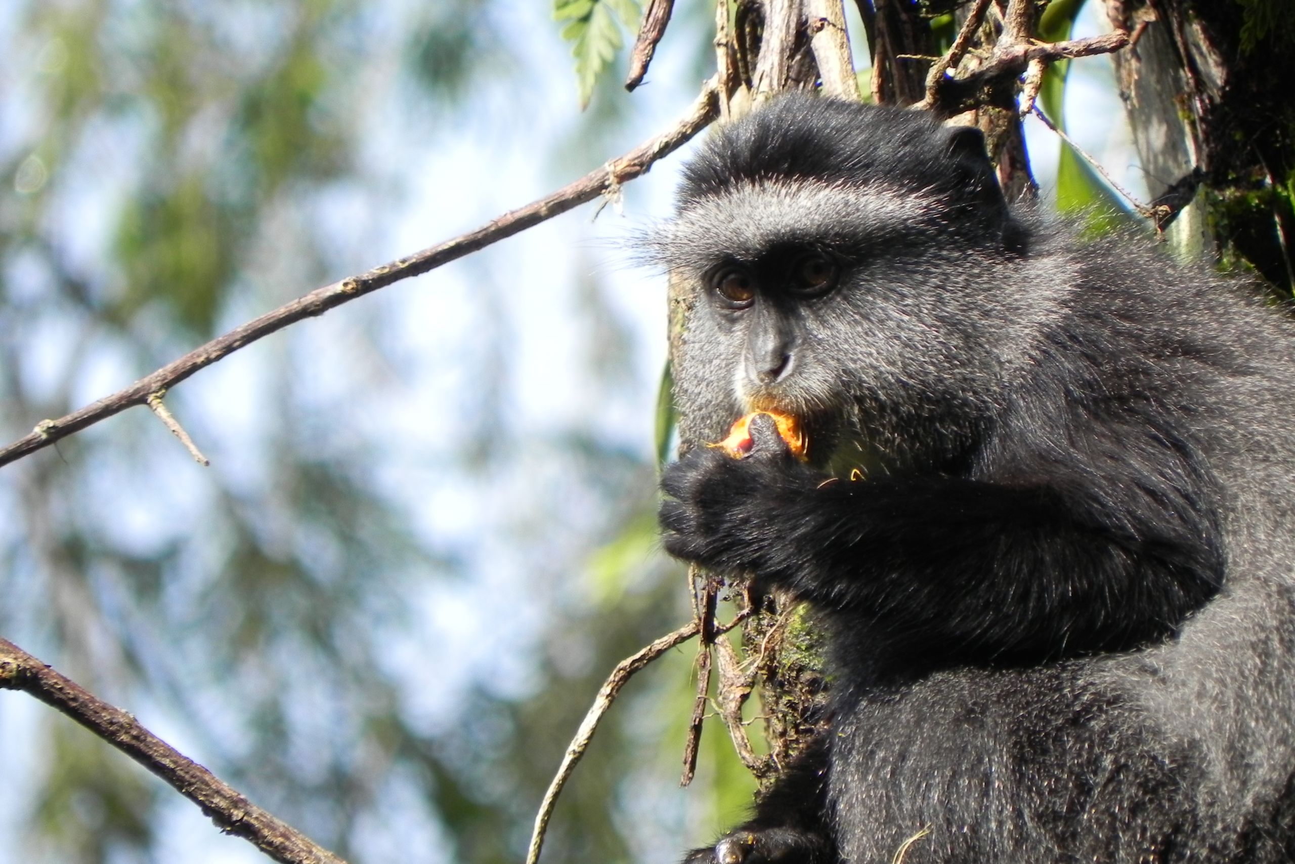 Inspiring a Love of Nature and Wildlife for All | Blog | Nature | PBS