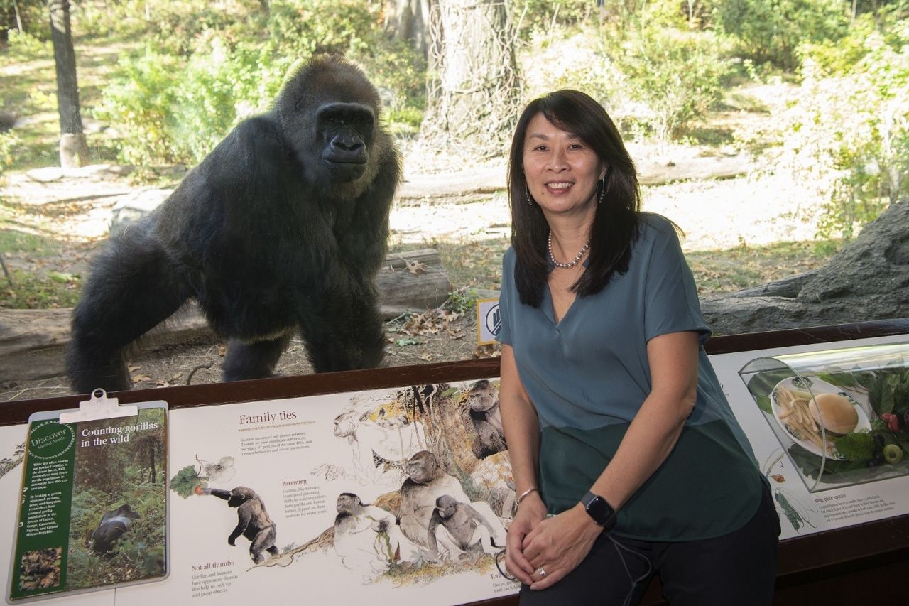 How I Turned Passion for Design and Wildlife Into a Career | Blog ...