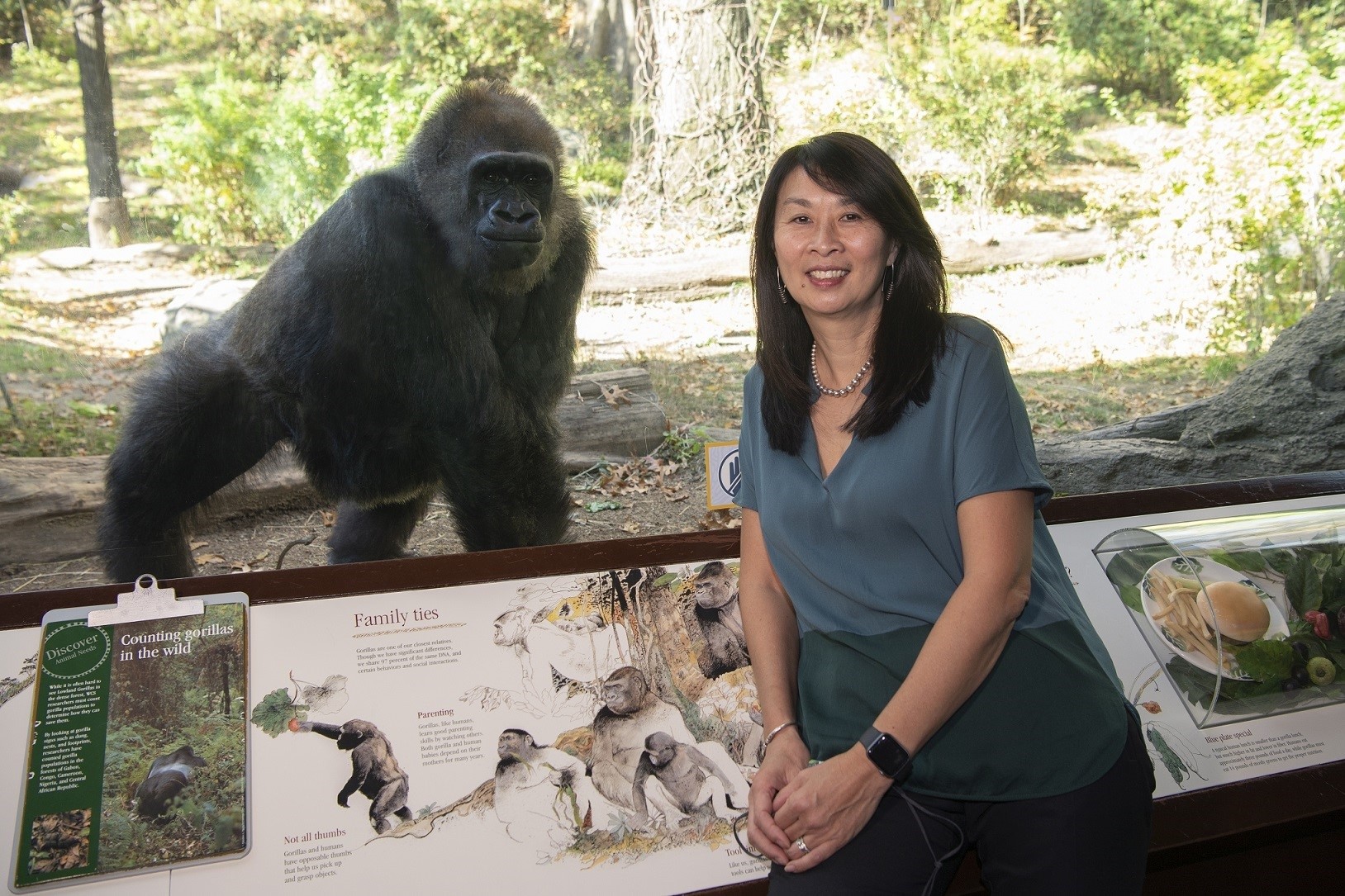 How I Turned Passion for Design and Wildlife Into a Career | Blog ...