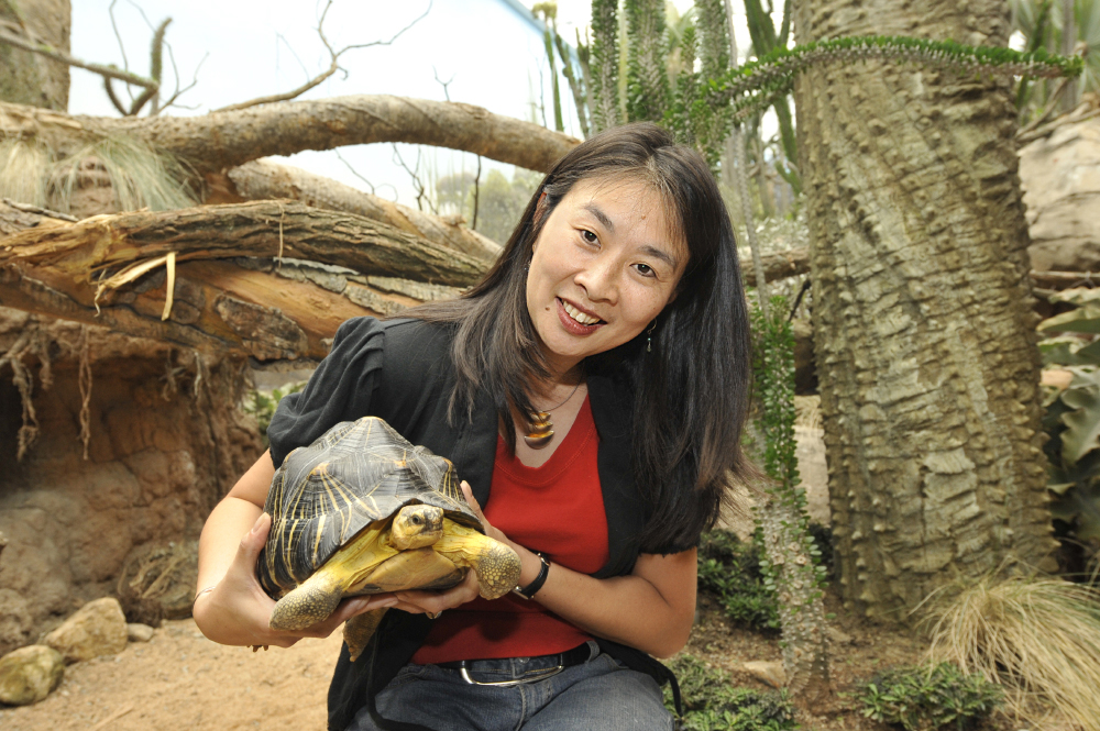 How I Turned Passion for Design and Wildlife Into a Career | Blog ...