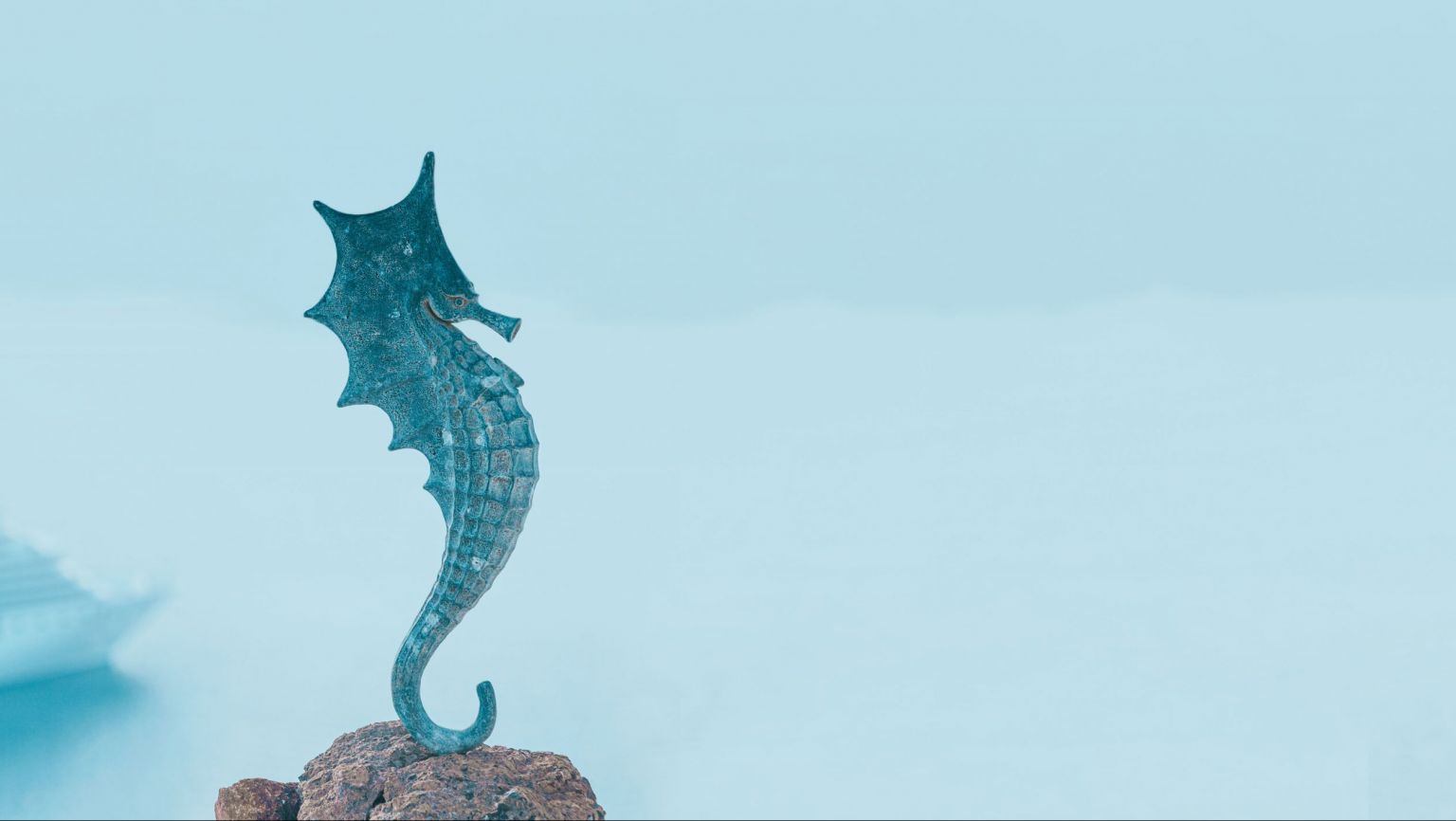 Seahorse Fact Sheet | Blog | Nature | PBS