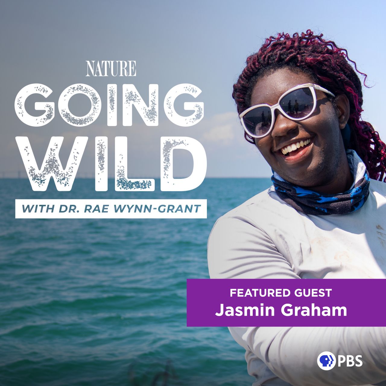 It's a Shark-Eat-Shark World | Going Wild with Dr. Rae Wynn-Grant ...