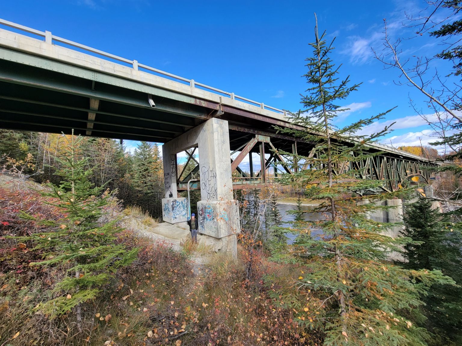 Hanging Out With Bats Under Bridges | Blog | Nature | PBS
