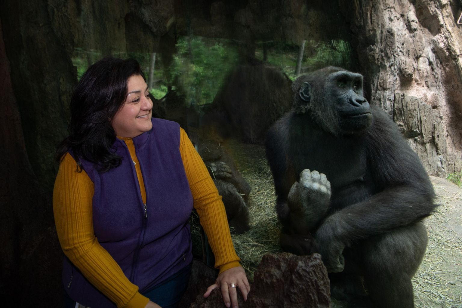 Zoo and Aquarium-Based Conservation: A Place for Everyone | Blog ...