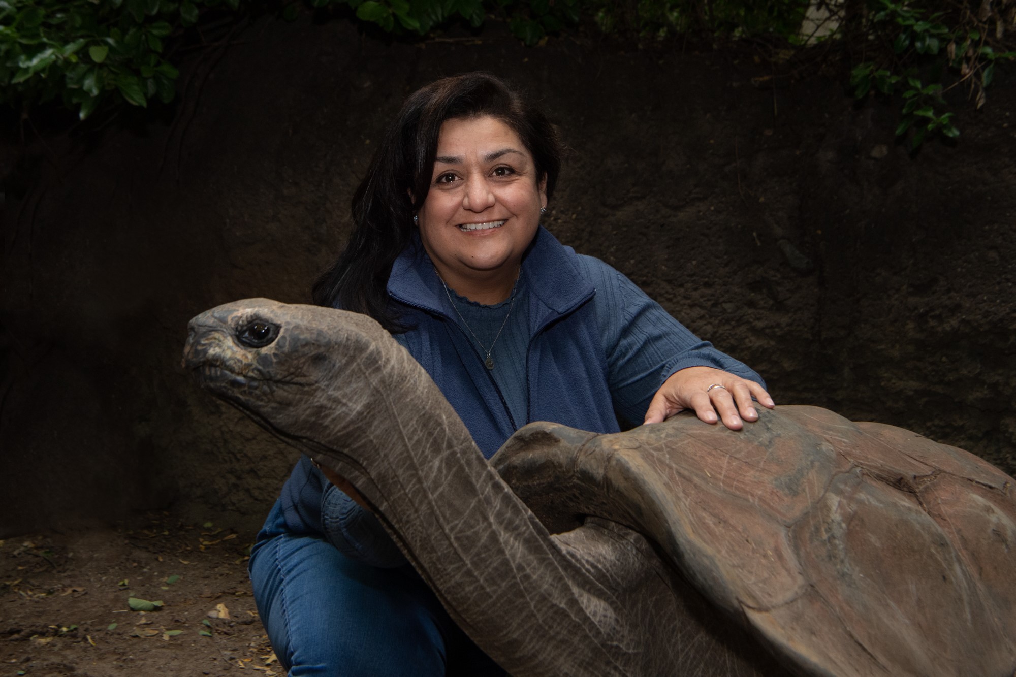 Zoo and Aquarium-Based Conservation: A Place for Everyone | Blog ...