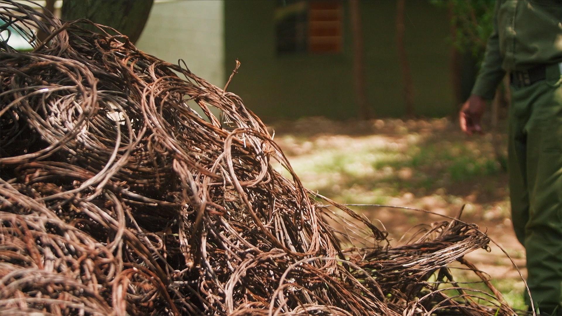 Running with the Beest | How Wire Snares Threaten the Wildebeest ...