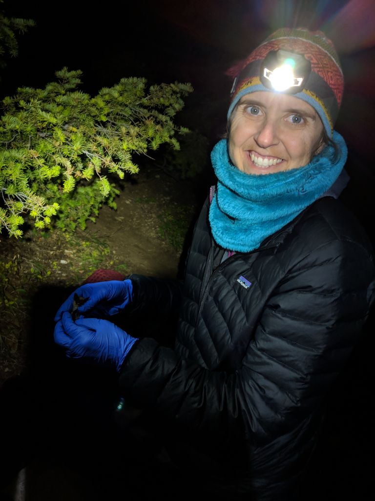 Bat Conservation Q & A with Yup’ik Students from Mertarvik, Alaska ...