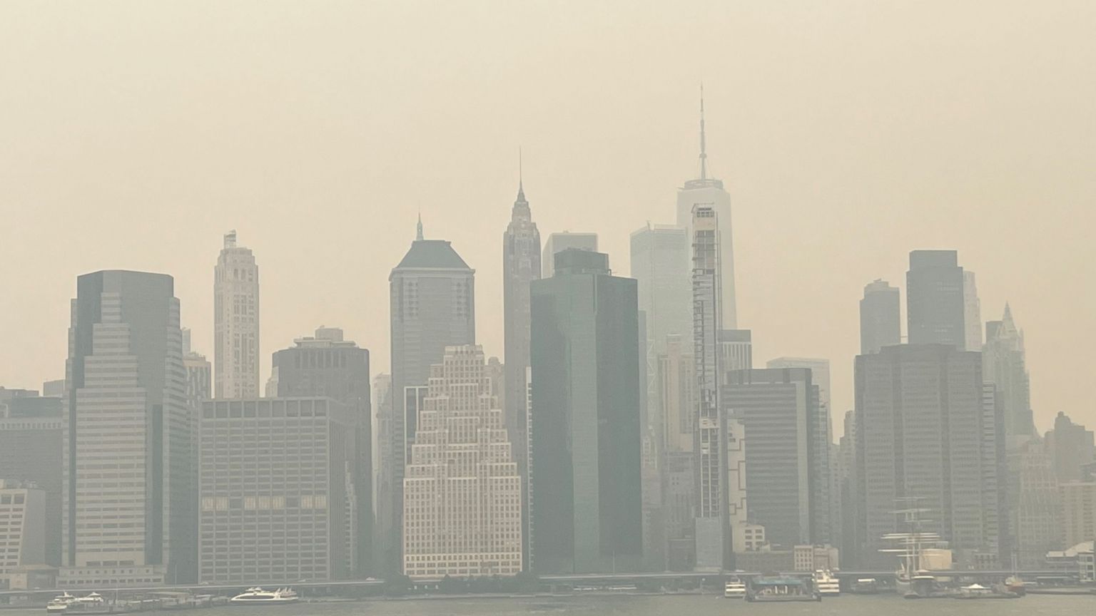 Where There’s Smoke… | Blog | Nature | PBS