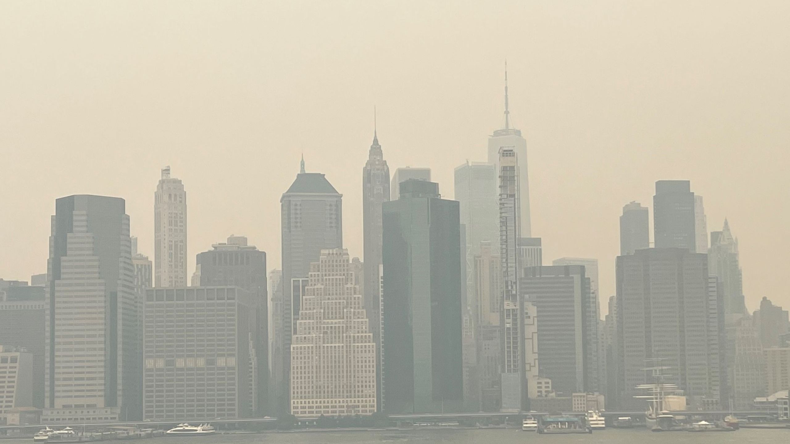 Where There’s Smoke… | Blog | Nature | PBS