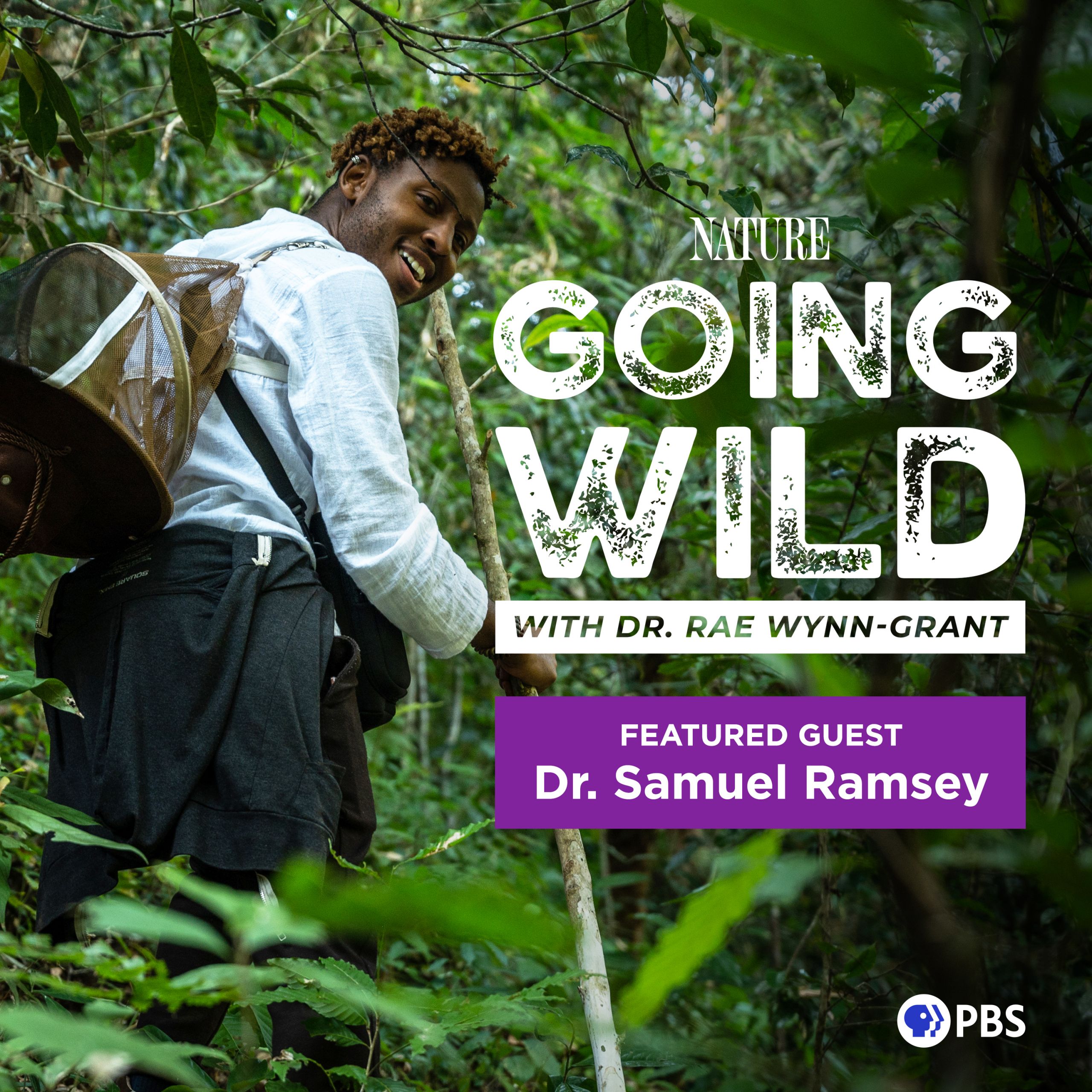 Is This the Bug to End All Bees?(And What You Can Do About It) | Going Wild with Dr. Rae Wynn ...