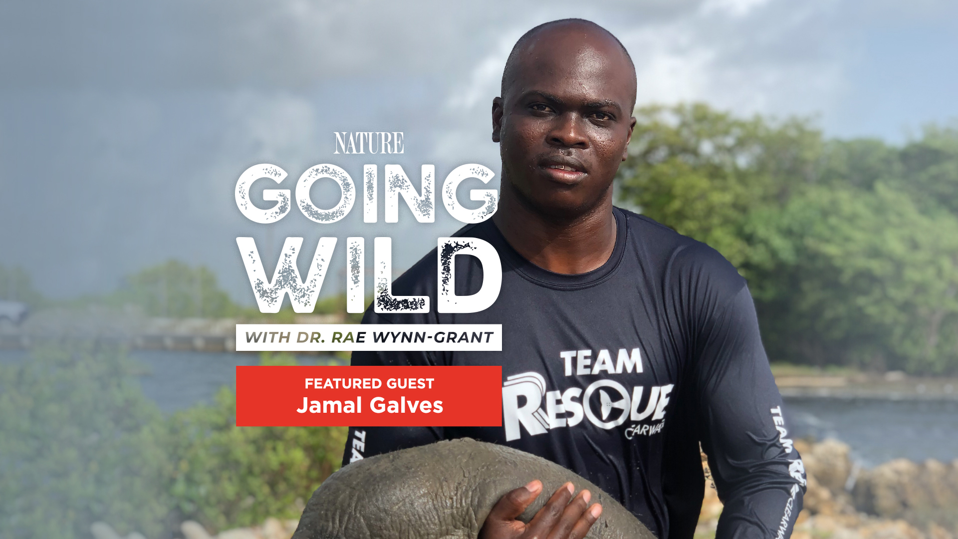 Meet "The Manatee Man" | Going Wild with Dr. Rae Wynn-Grant | Podcast ...