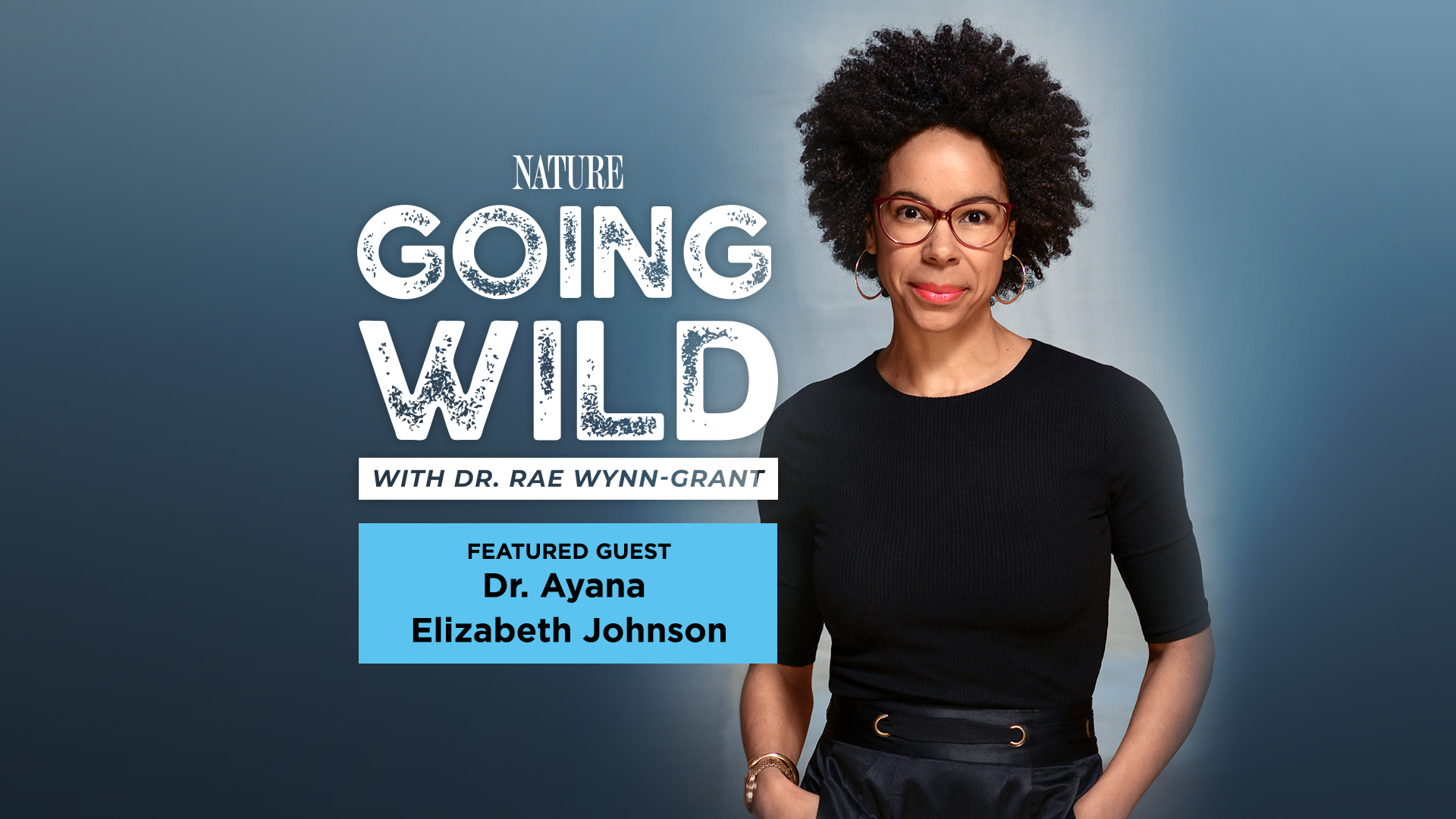 Effectively Wild Podcast The Only Rule Is It Has To Work: Our Wild