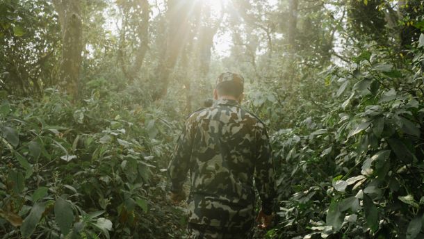 Support for Rangers Is Critical to Meet Tiger Recovery Goals and ...