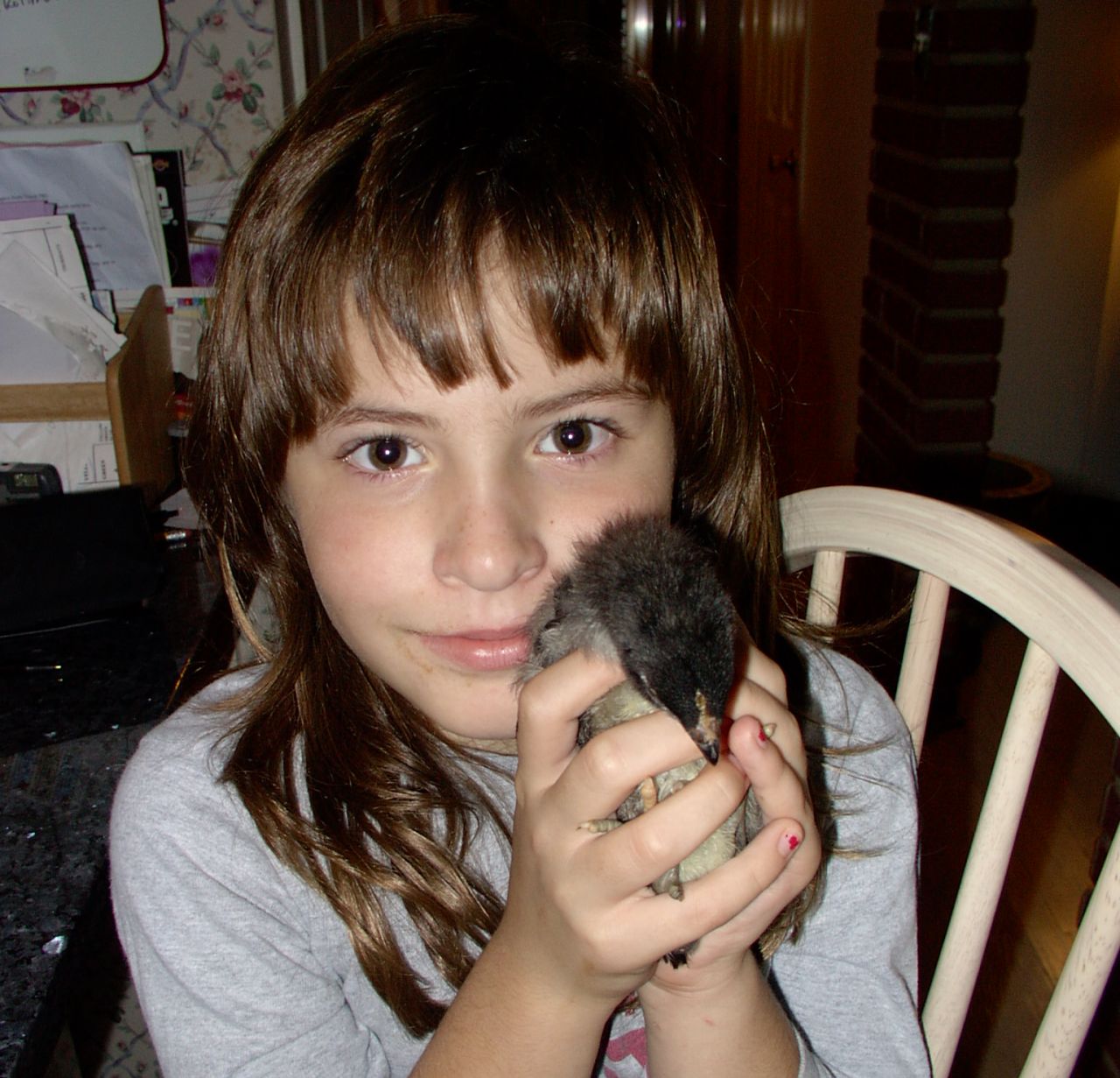 Raising Chicks and Future Conservation Leaders | Blog | Nature | PBS