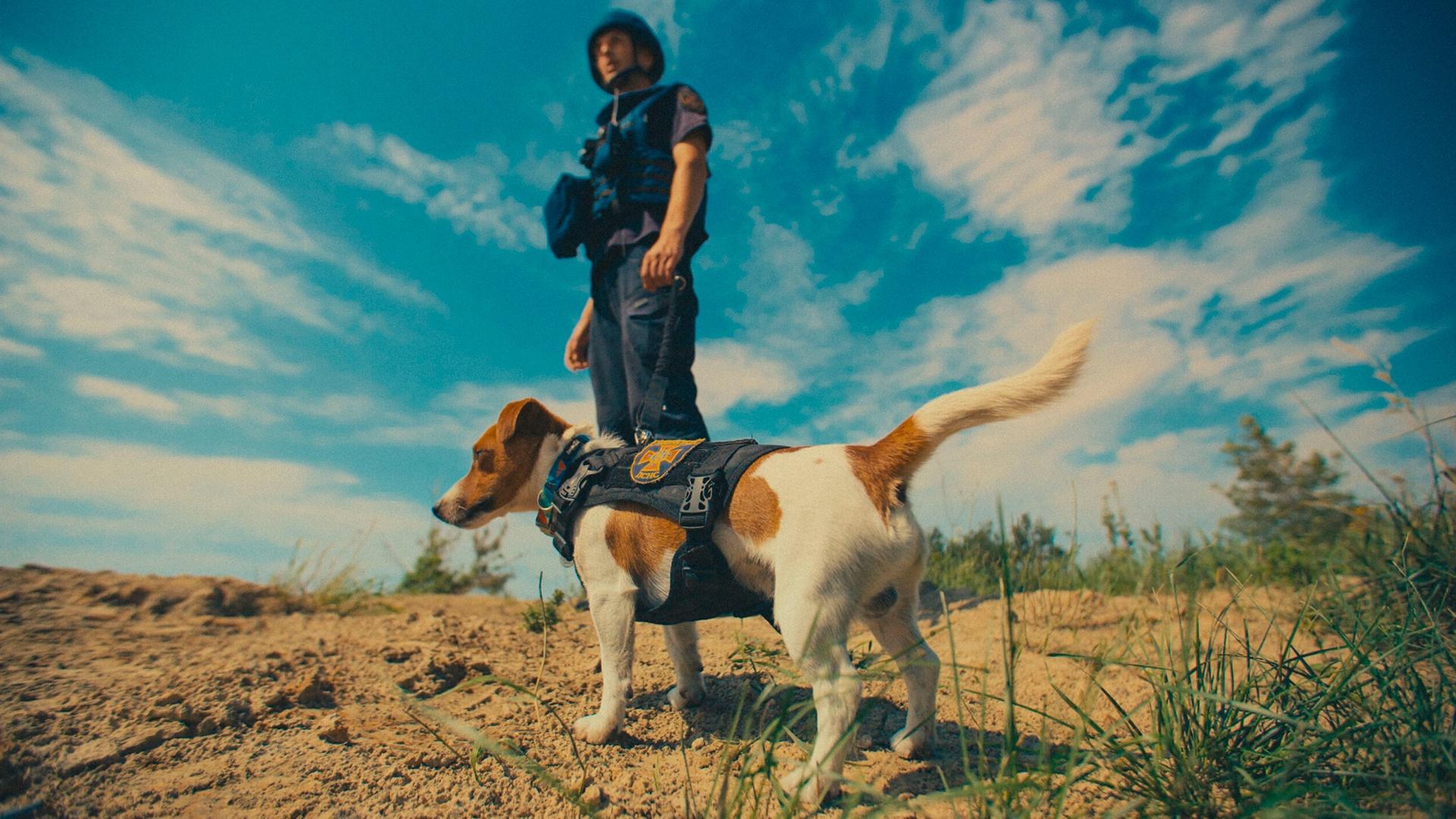 Saving the Animals of Ukraine | About | Nature | PBS