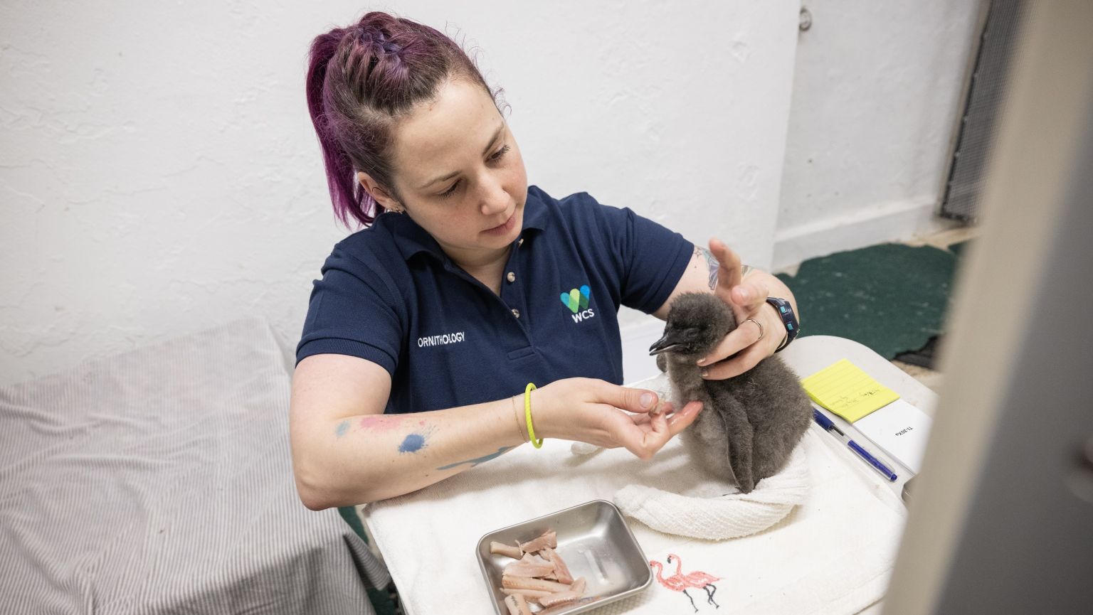 Now More than Ever, Women Zoo Keepers Are Succeeding and Inspiring ...