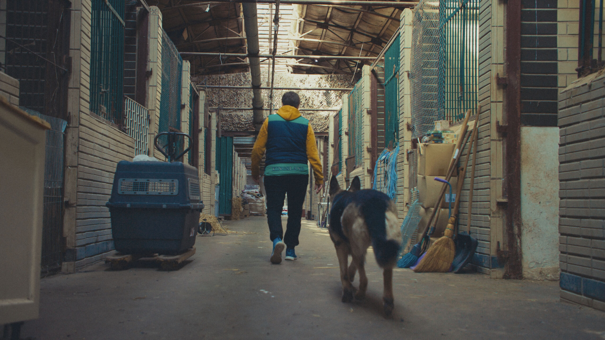 Saving the Animals of Ukraine | LIVE Q&A with "Saving the Animals of ...