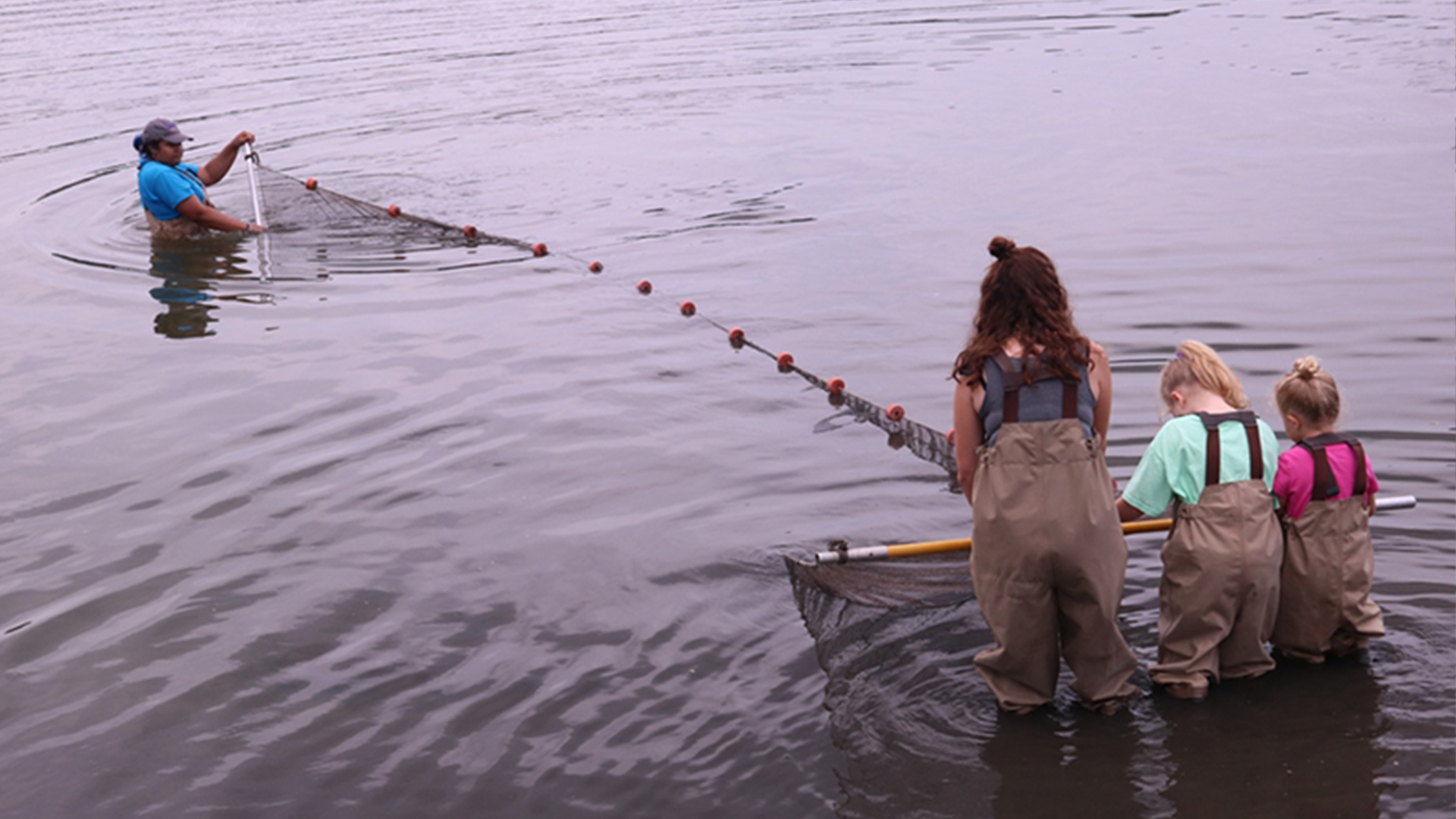 Migratory Fish Are Disappearing | Blog | Nature | PBS