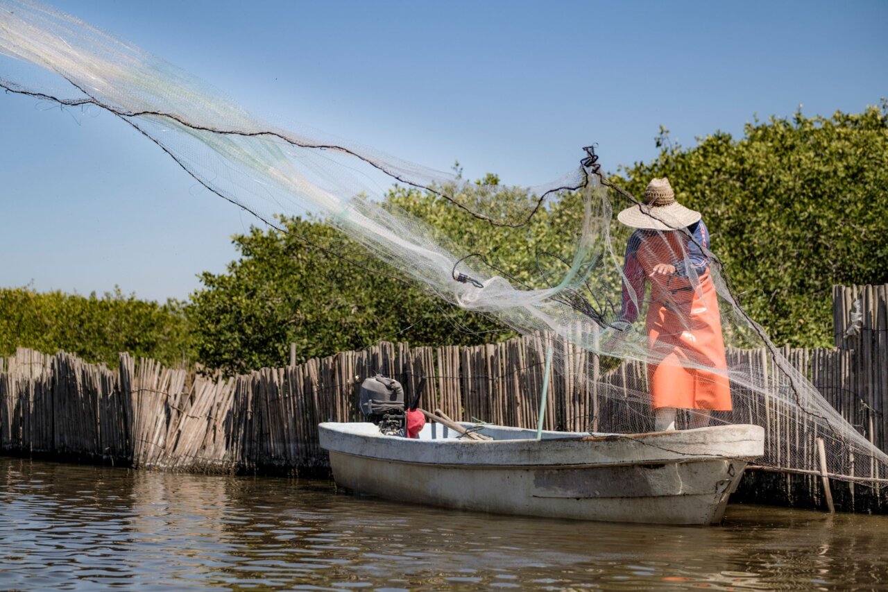 Harnessing Artificial Intelligence for Conservation: A Look at ...