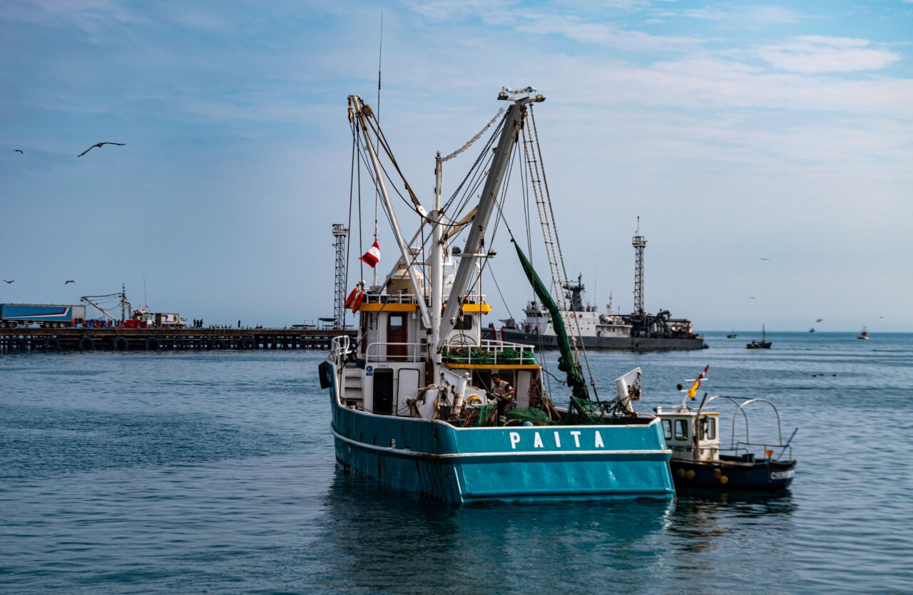 Reviving Ghost Reefs: How Marine Protected Areas Can Combat Hunger ...