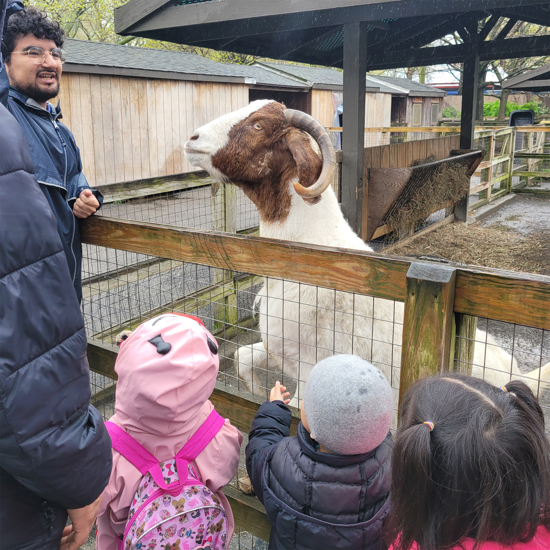 Queens Youth Get a STEM Education from “Mr. Frankie” | Blog | Nature | PBS