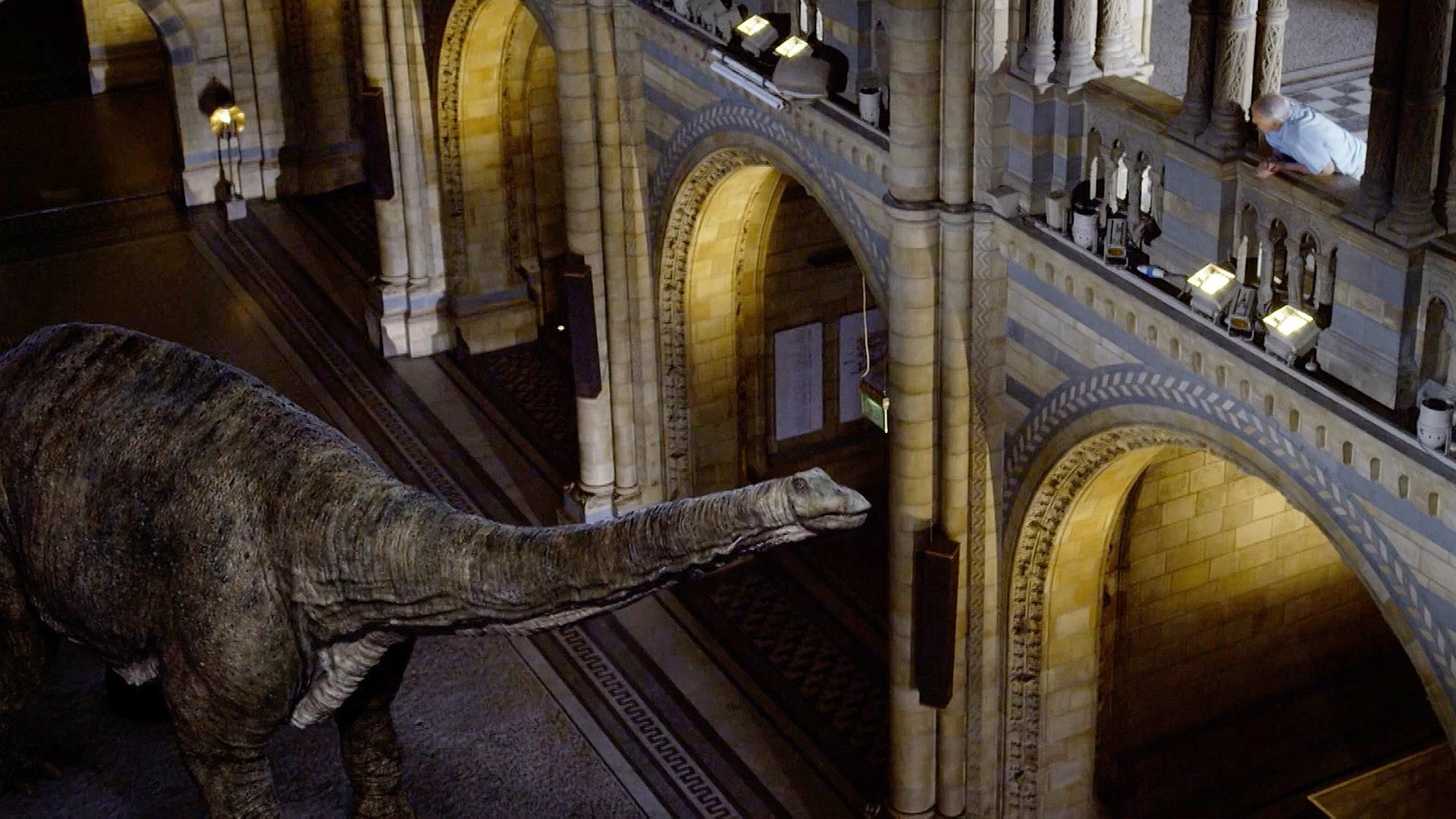 Museum Alive with David Attenborough | David Attenborough Befriends a ...