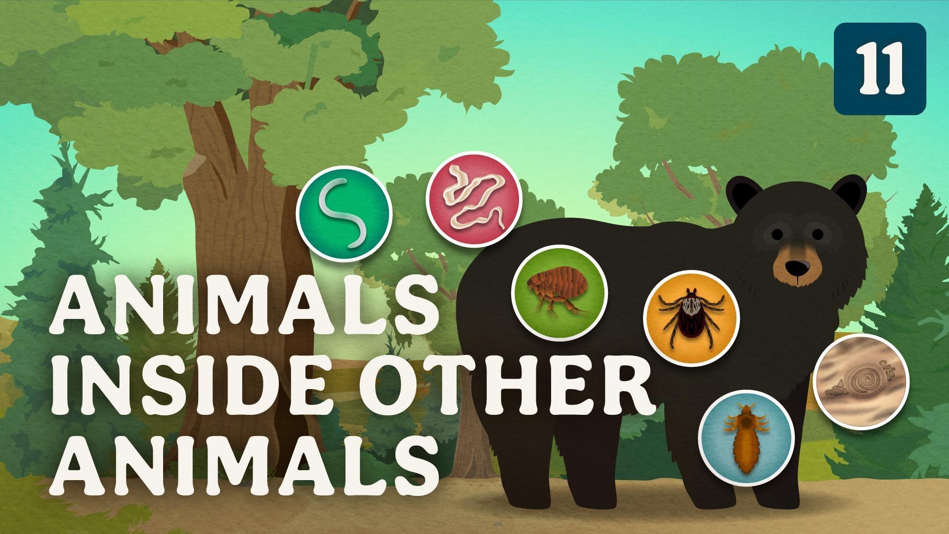 Crash Course Zoology: Episode 11: Parasites | Nature | PBS