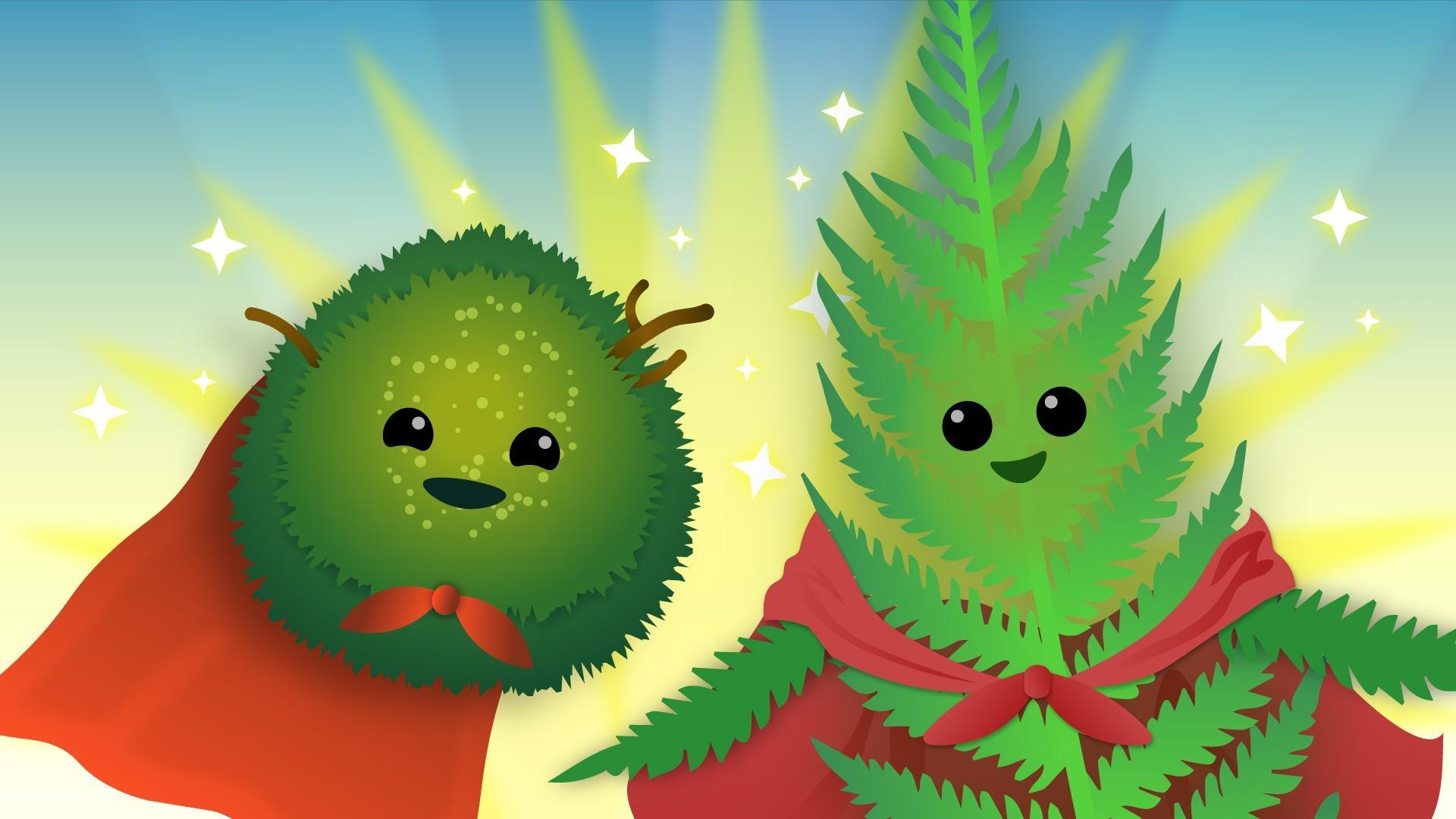 Crash Course Botany: Episode 8: Why Don't These Plants Need Seeds ...